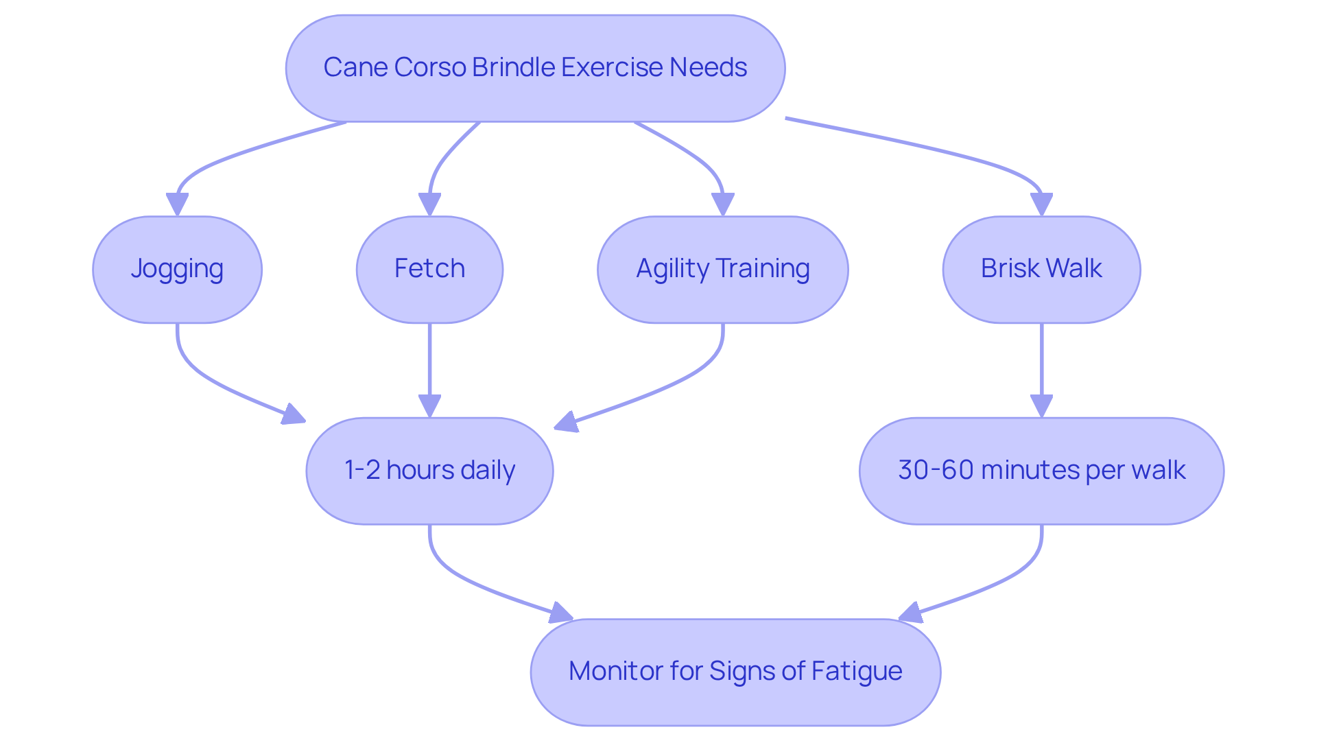 This flowchart outlines how to keep your Cane Corso Brindle active and healthy. Follow the arrows to see which activities to include and how long to do them, while remembering to check for signs of fatigue along the way.