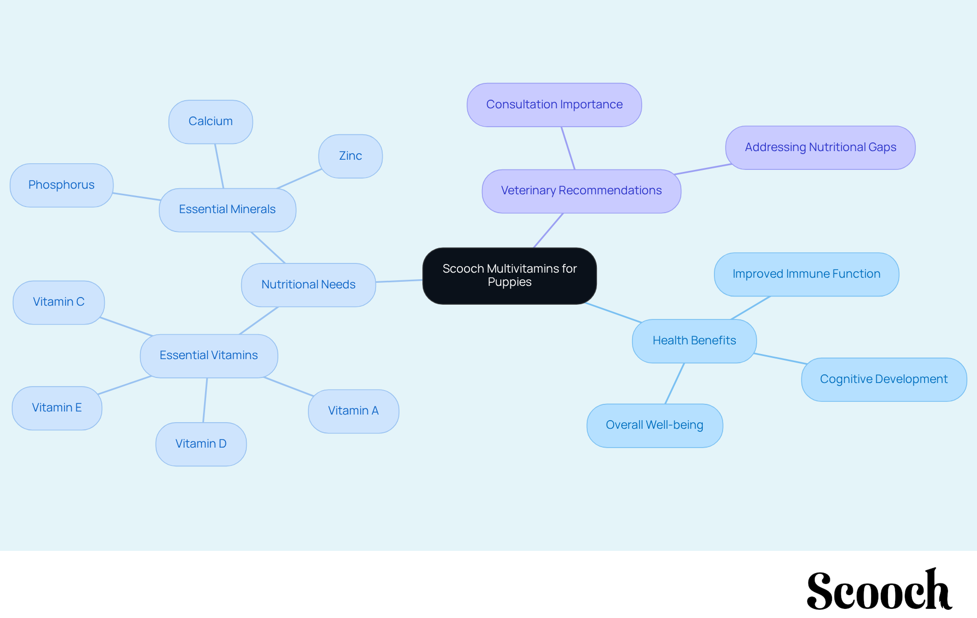 The center represents Scooch's multivitamins, with branches showing how they support puppy health. Each branch highlights specific benefits or nutritional needs, making it easy to see the connections. The center represents Scooch's multivitamins, with branches showing how they support puppy health. Each branch highlights specific benefits or nutritional needs, making it easy to see the connections.