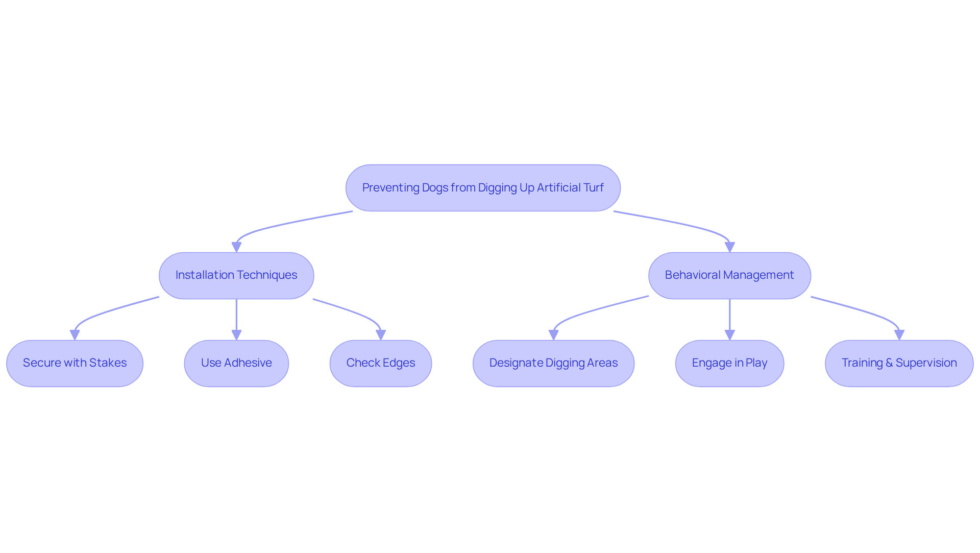 Follow the arrows to see how to keep your artificial turf safe from digging. Each step shows what you can do, from securing the turf to managing your dog's behavior.