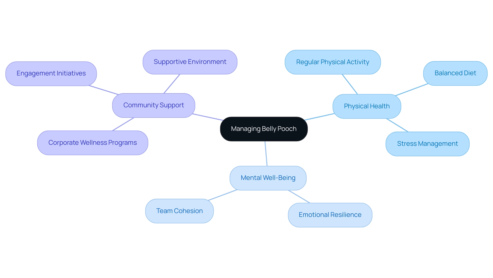 The central node represents the overall goal, with branches indicating the three key components: Physical Health, Mental Well-Being, and Community Support. Each color corresponds to a specific component.