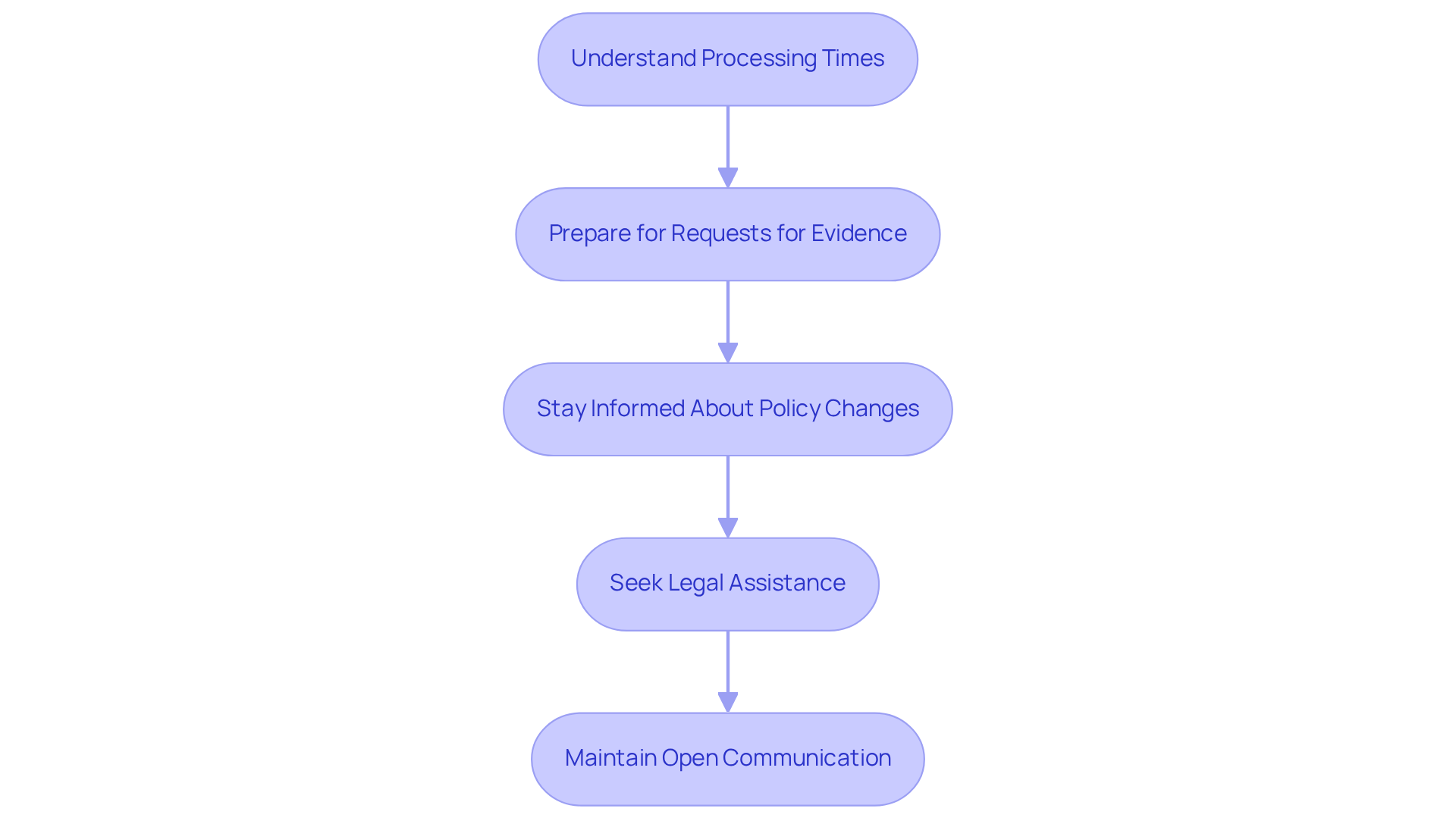 Each box represents a key strategy for overcoming challenges in the immigration process. Follow the arrows to see the recommended steps in order, helping you tackle each challenge effectively.