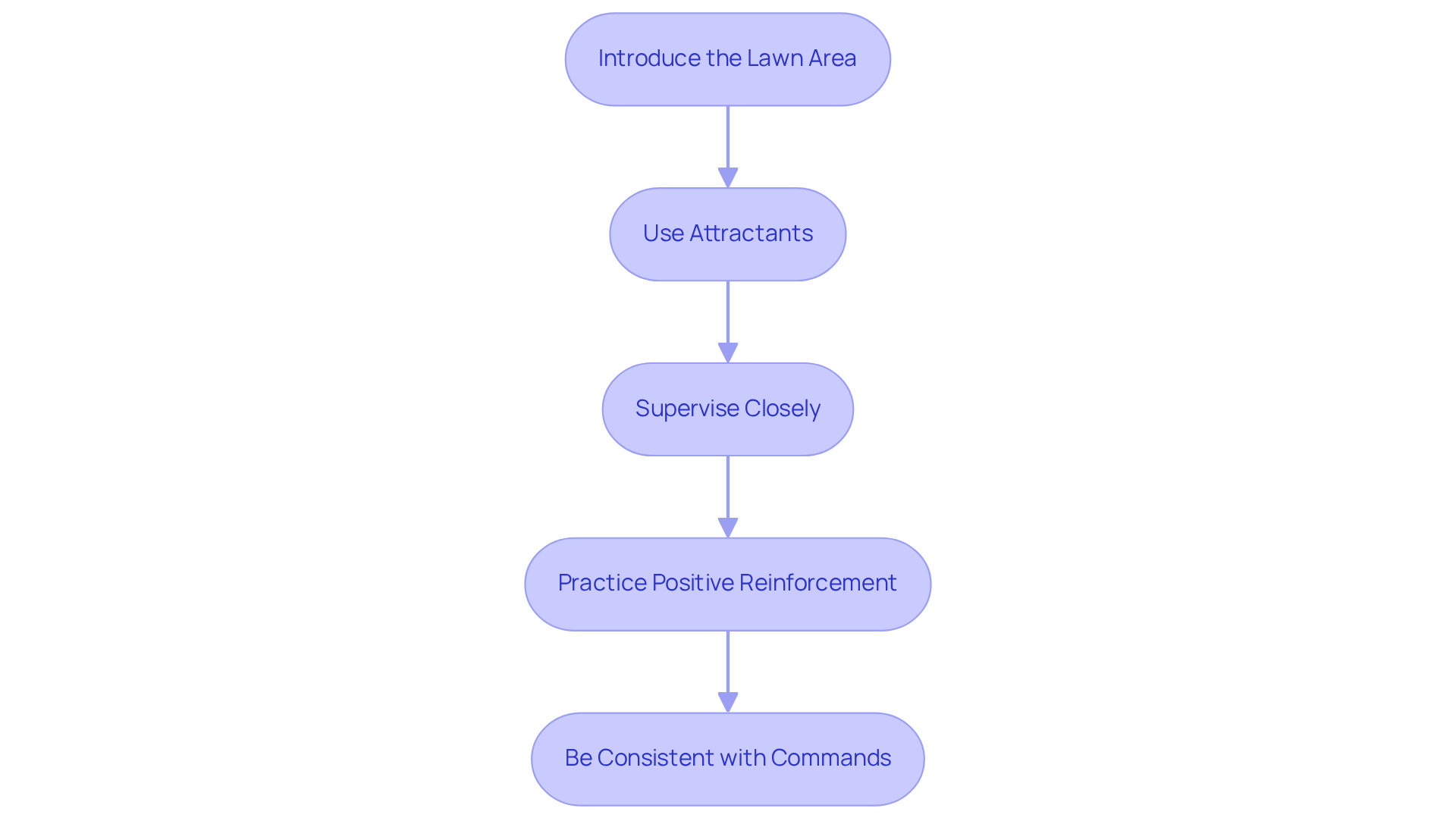 Each box represents a step in the training process. Follow the arrows to see how to guide your puppy through each technique, ensuring they learn to use the grass area effectively.