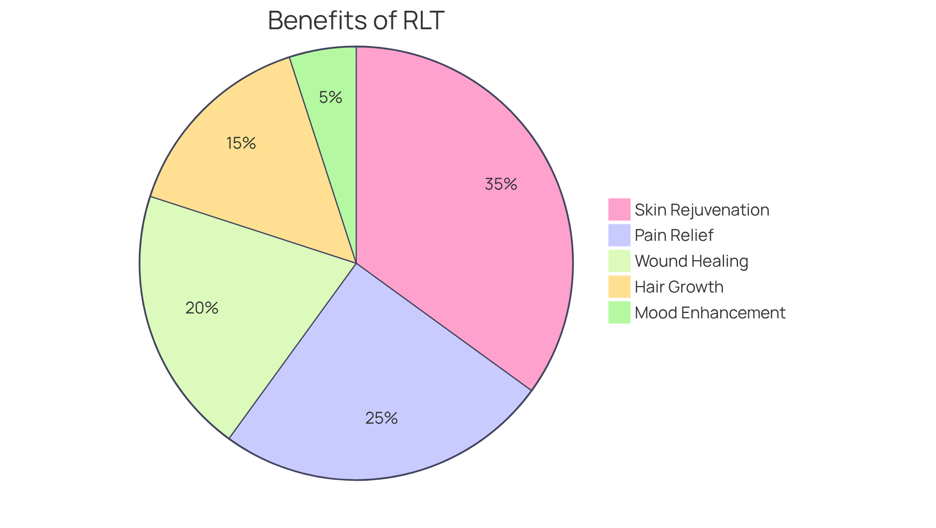 Each segment represents a specific benefit of red light therapy — the larger the segment, the more significant the benefit in the overall wellness treatment.