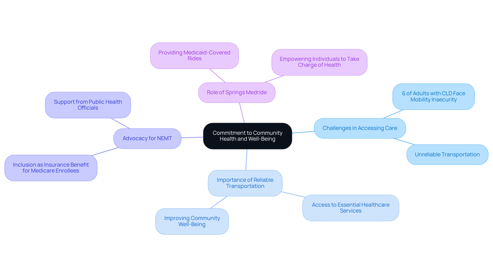 This mindmap illustrates how various aspects of community health and well-being are interconnected. Start at the center with the main commitment, then explore the branches to see the challenges, advocacy efforts, and the role of Springs Medride in supporting health outcomes.