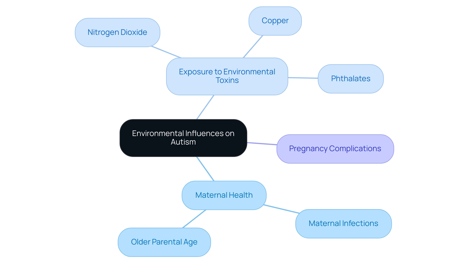 The central node represents the overarching theme, with branches indicating major factors that influence autism risk and their respective subcategories.