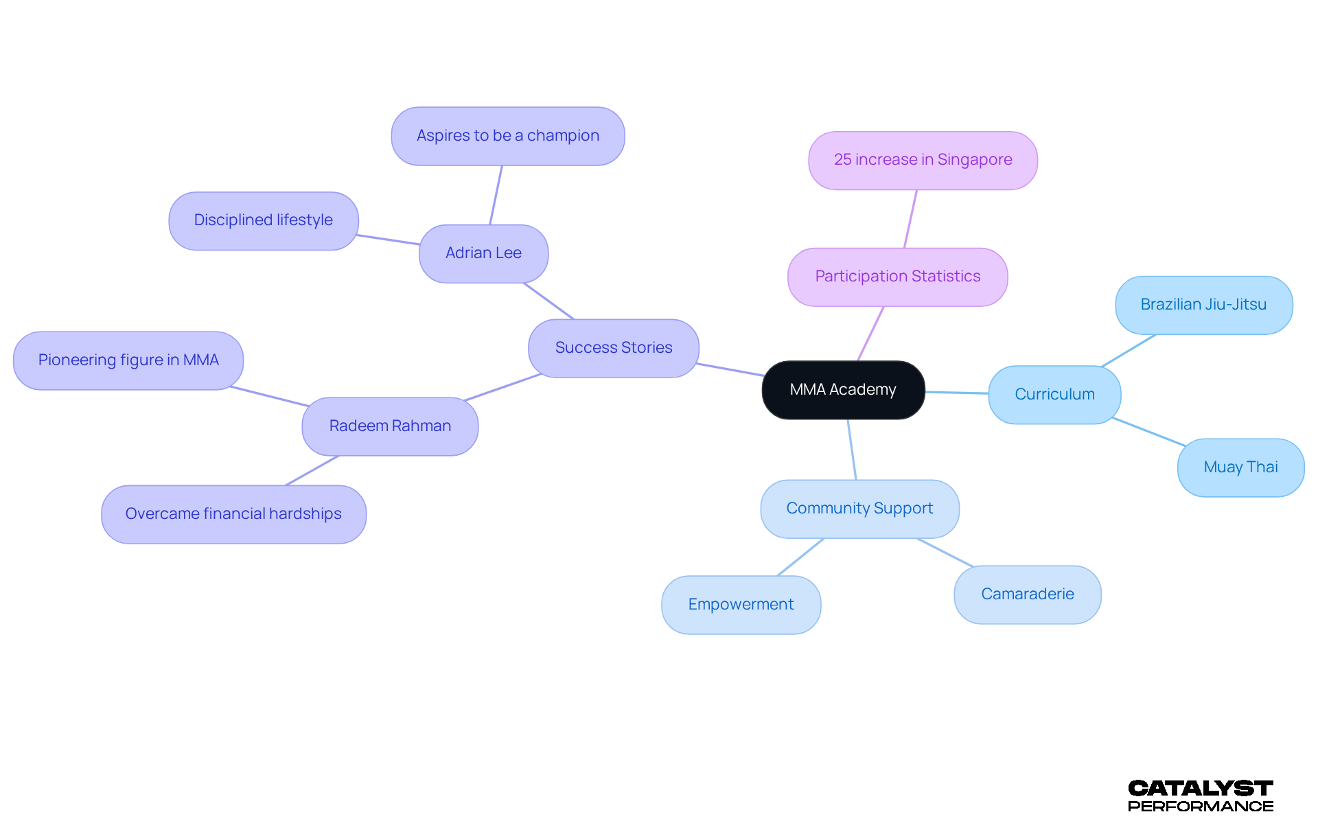 The central node represents the MMA Academy, with branches showing different aspects like training programs, community support, inspiring success stories, and recent participation trends. Each branch helps you understand how these elements contribute to the overall mission of the academy.
