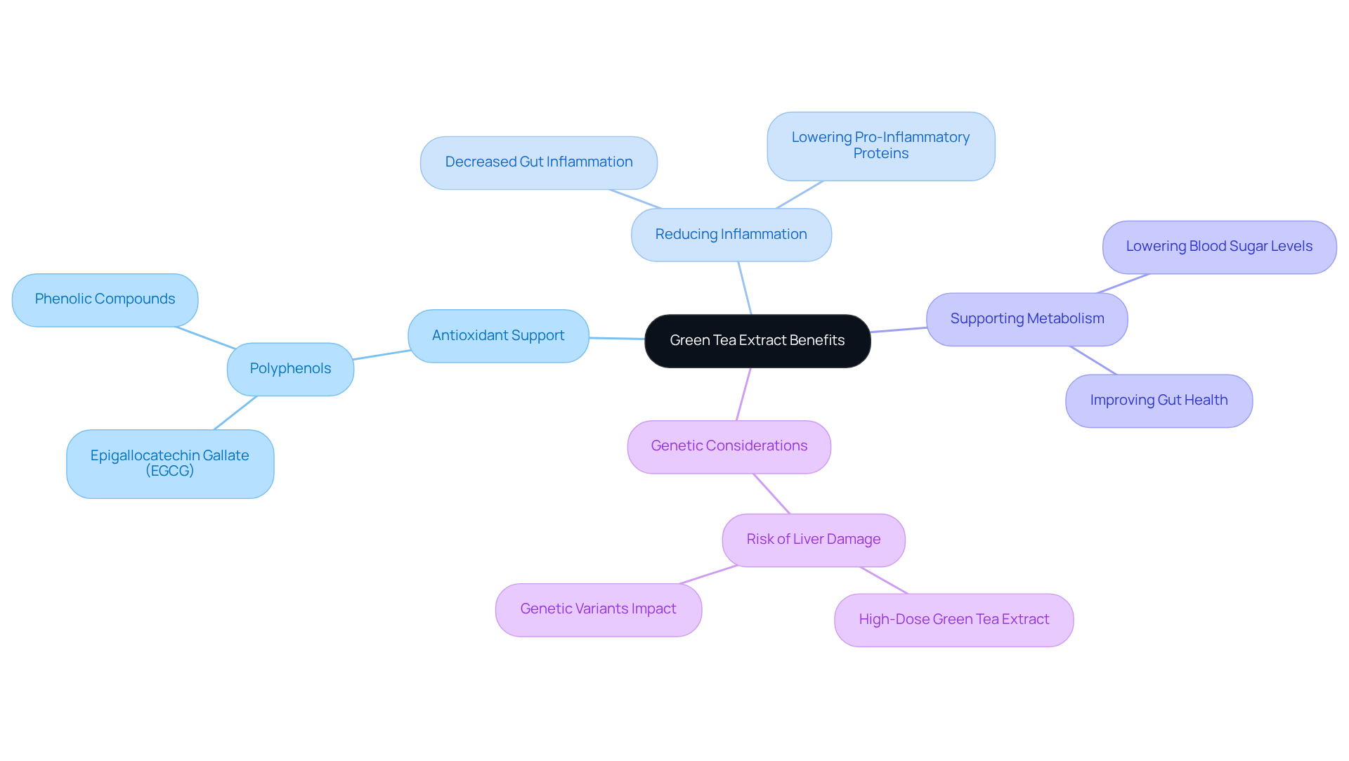 This mindmap starts with green tea extract at the center, showing how it supports health through various benefits. Each branch represents a different aspect of its advantages, making it easy to see how they connect. This mindmap starts with green tea extract at the center, showing how it supports health through various benefits. Each branch represents a different aspect of its advantages, making it easy to see how they connect.