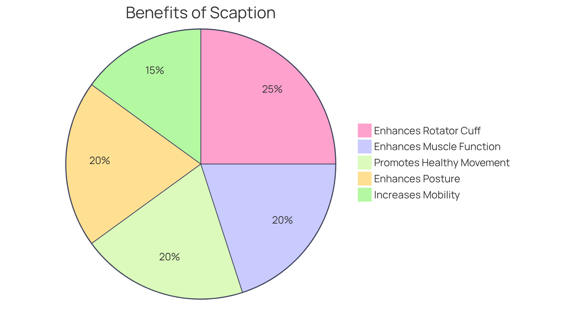 Each slice of the pie represents a different benefit of the scaption exercise. The larger the slice, the more significant that benefit is for improving shoulder health and function. This helps you see at a glance how each benefit contributes to a pain-free, active lifestyle.