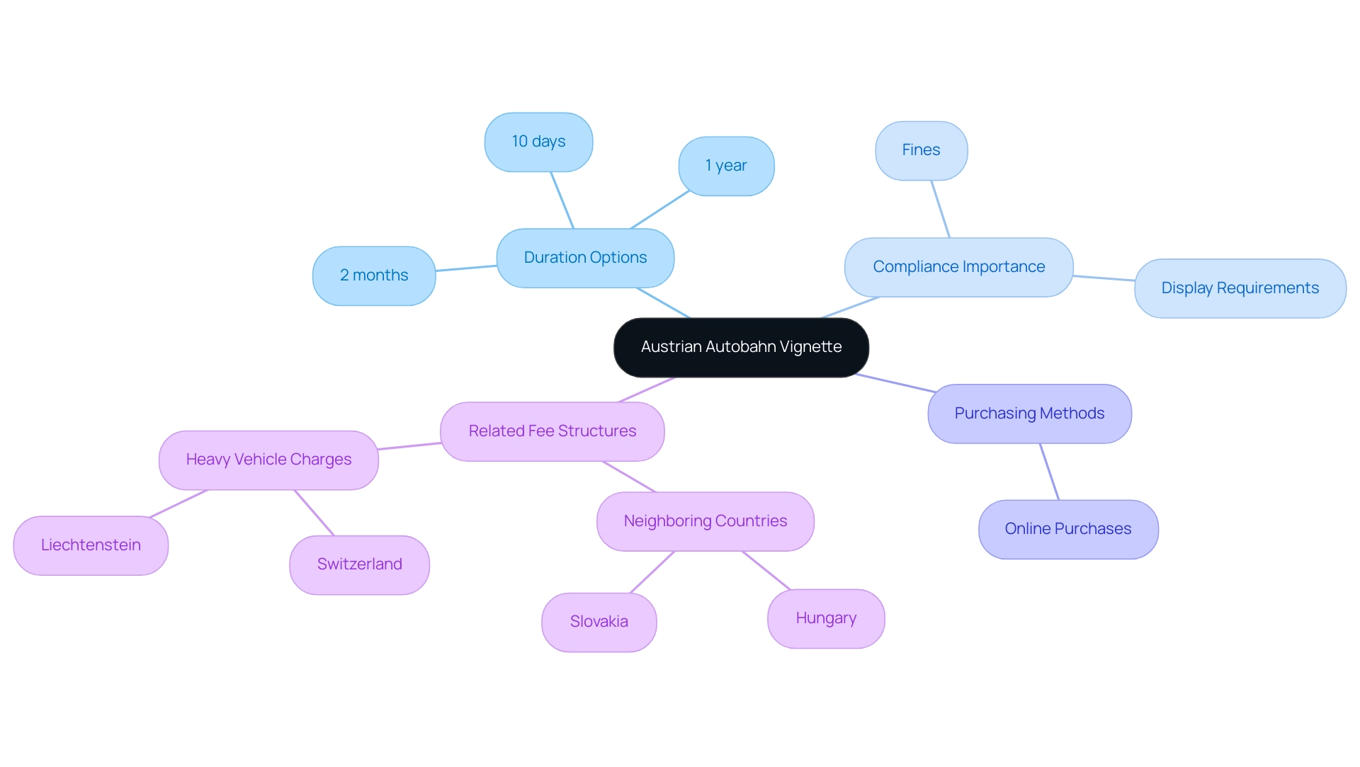 The central node represents the vignette, with branches showing its duration options, compliance importance, purchasing methods, and related fee systems.