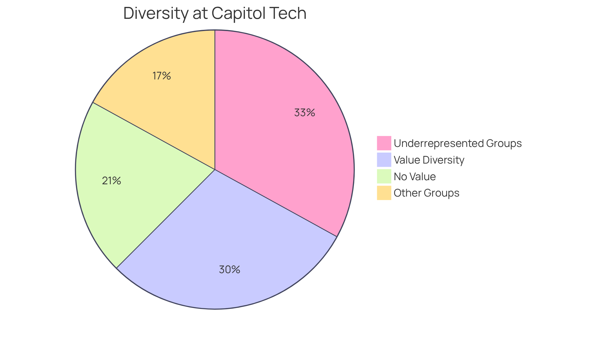 The first pie chart shows the makeup of the student body: the larger slice represents underrepresented groups, while the smaller slice represents other groups. The second pie chart illustrates student beliefs about diversity's impact on learning: the larger slice indicates those who see value in diversity, while the smaller slice represents those who do not.