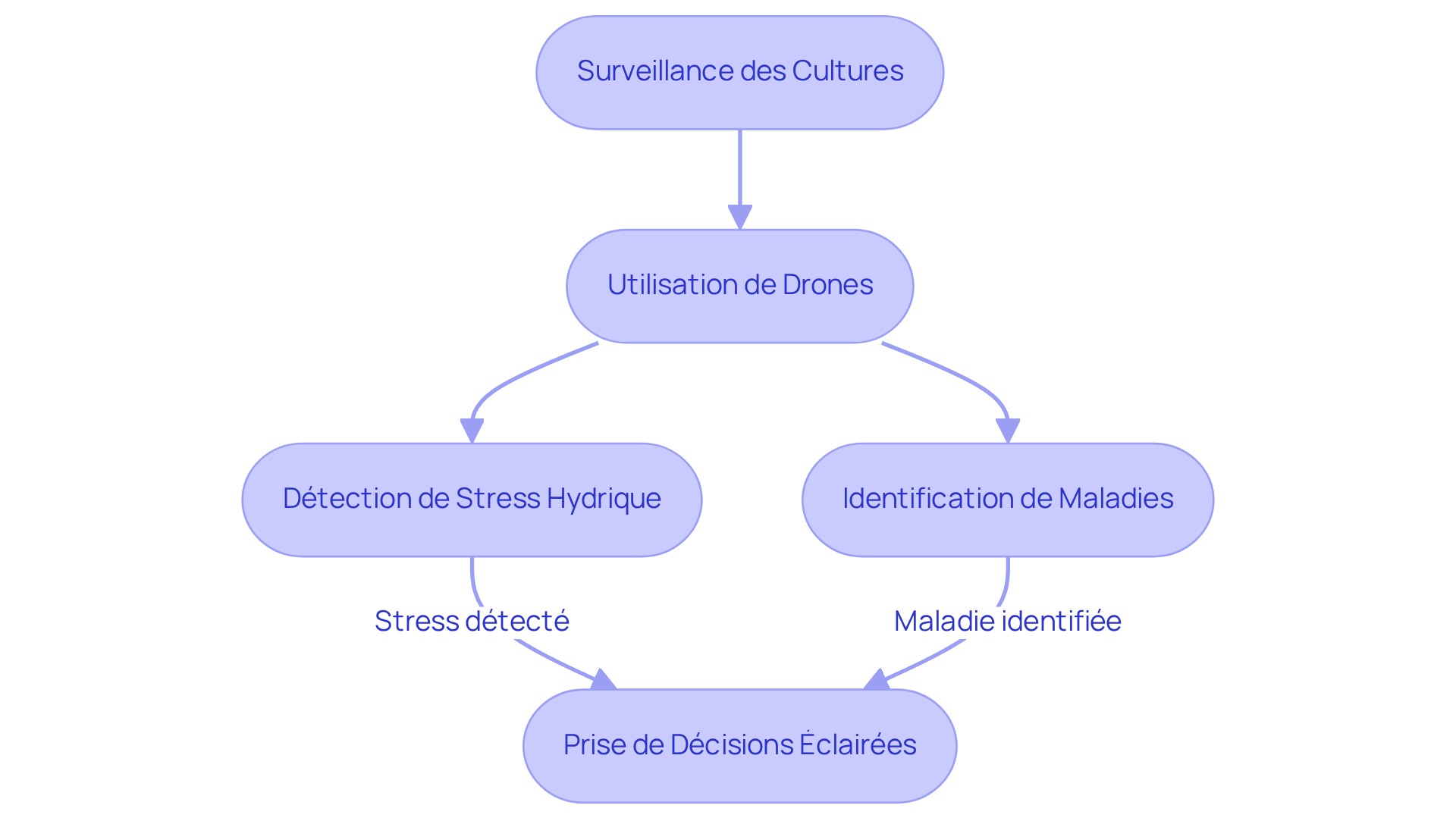Chaque boîte représente une étape dans le processus de surveillance des cultures. Suivez les flèches pour voir comment chaque étape mène à la suivante, de l'utilisation des drones à la prise de décisions pour optimiser les rendements.