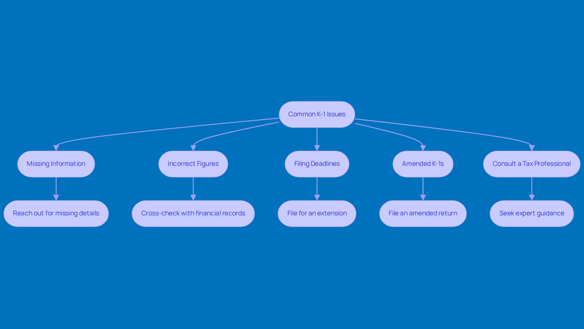 Each box represents a common issue you might face when completing the K-1 form. Follow the arrows to see what steps you can take to resolve each problem.