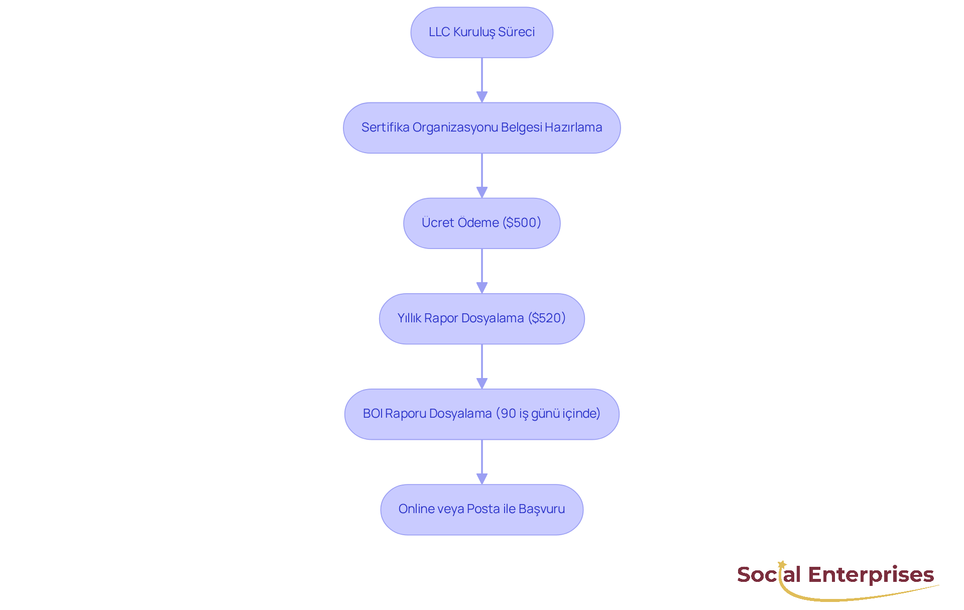 Her kutu, LLC kurulumunda atılması gereken bir adımı temsil eder. Oklar, bu adımların nasıl birbirine bağlı olduğunu gösterir — sürecin nasıl ilerleyeceğini takip etmek için.