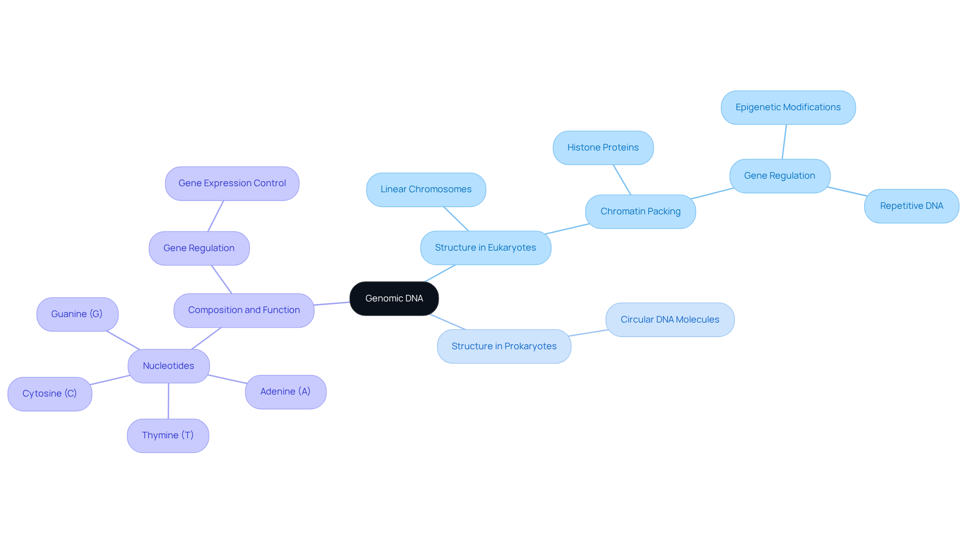 Start at the center with genomic DNA, then explore its structure in different organisms and its composition. Each branch leads to important details that explain how DNA functions in biology.