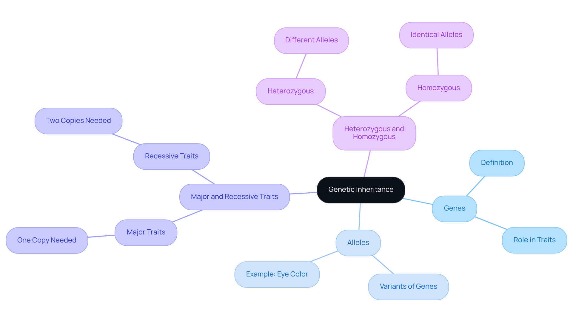 Start at the center with 'Genetic Inheritance', then explore each branch to learn about genes, alleles, and how traits are inherited. Each color represents a different concept, making it easier to understand how they connect.