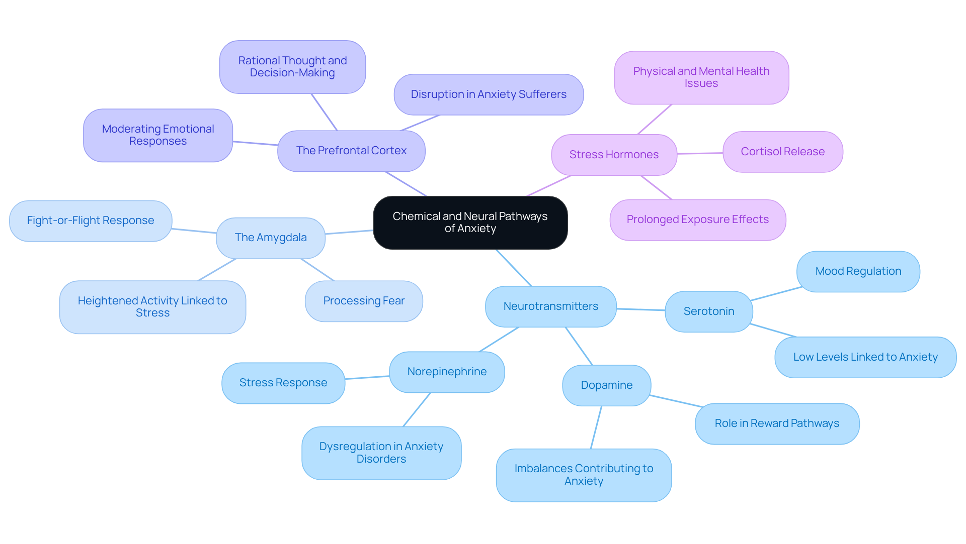 The central node represents the overall topic of anxiety pathways. Each branch shows a different aspect of how anxiety operates in the brain, with sub-branches providing more detail. This layout helps you see how everything connects.
