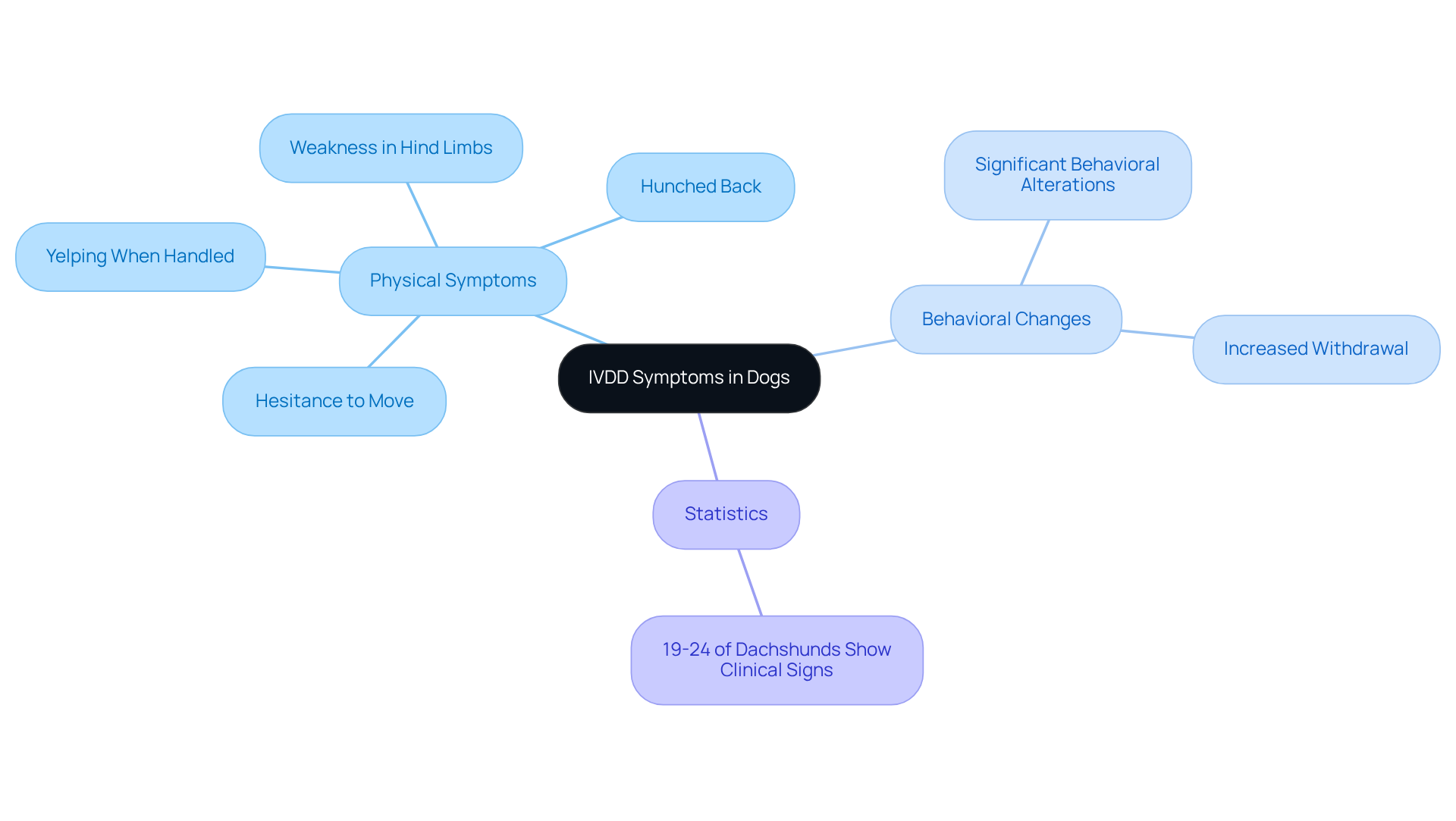 The center shows the main topic of IVDD symptoms. The branches reveal specific signs to watch for and important statistics — the more symptoms you recognize, the better you can help your dog.