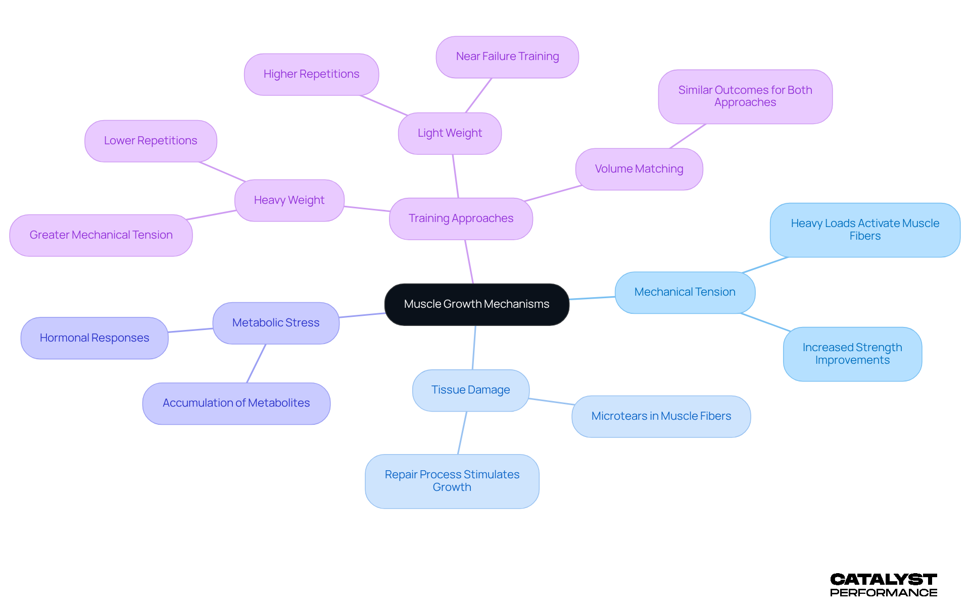 The central node represents the main topic of muscle growth. Each branch shows a key factor influencing hypertrophy, while the training approaches highlight how different weights can lead to similar outcomes. Follow the branches to explore how these elements connect. The central node represents the main topic of muscle growth. Each branch shows a key factor influencing hypertrophy, while the training approaches highlight how different weights can lead to similar outcomes. Follow the branches to explore how these elements connect.