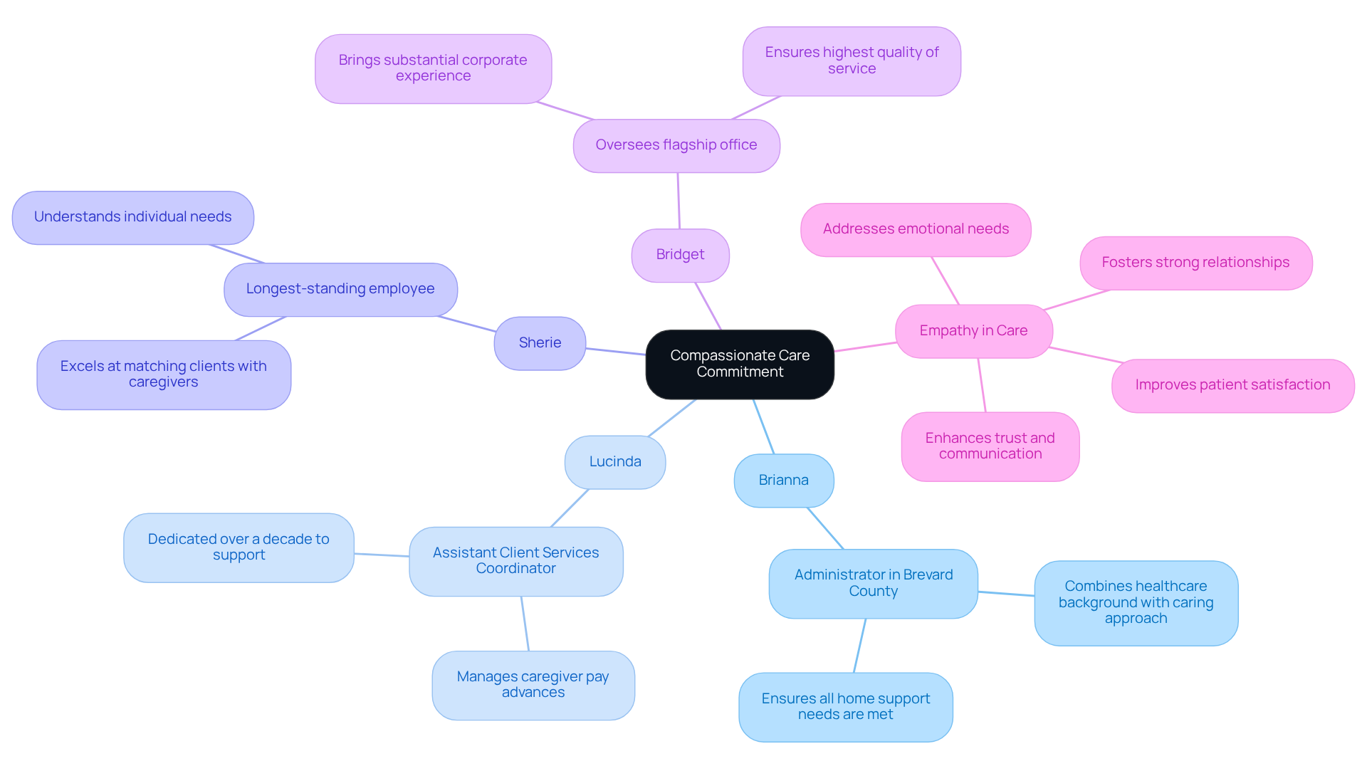 The center represents the core value of empathy in care. Each branch shows a different caregiver's role and how they contribute to compassionate support. This visualization helps highlight the importance of each individual's contribution in creating a caring environment.