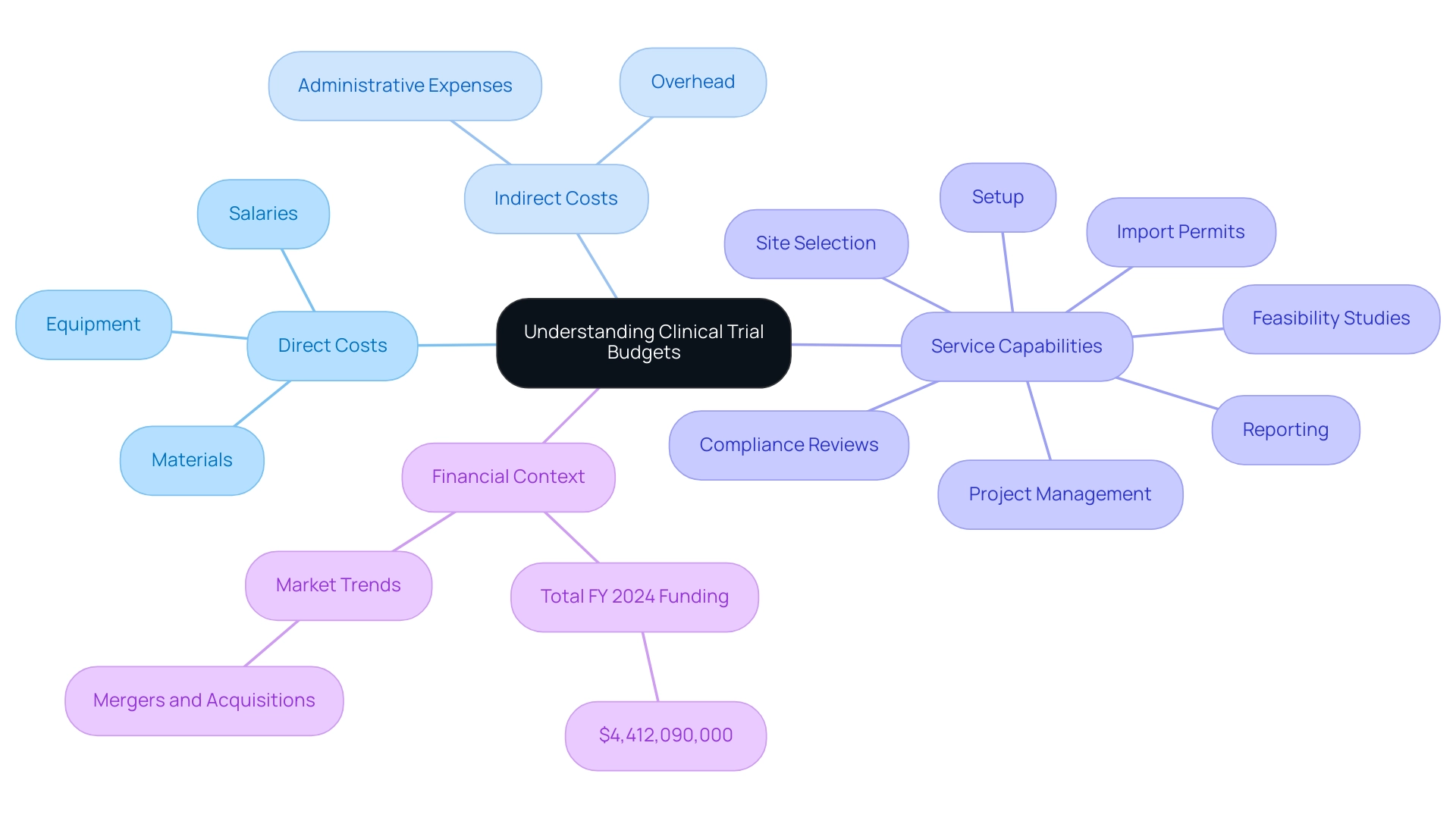 The central node represents the overall budget, with branches showing direct and indirect costs, and service capabilities.