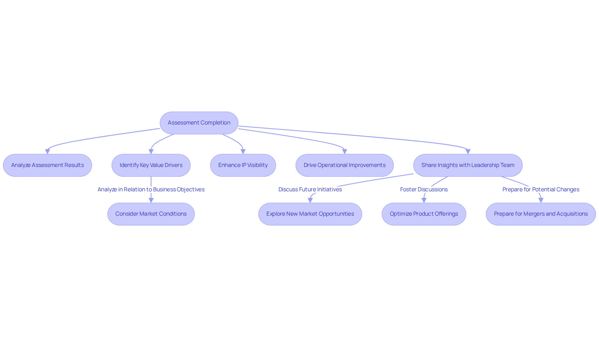 This flowchart outlines the steps tech CEOs should take after completing an assessment. Start at the top with 'Assessment Completion' and follow the arrows to see how to analyze results, identify value drivers, enhance visibility, drive improvements, and share insights with your team.