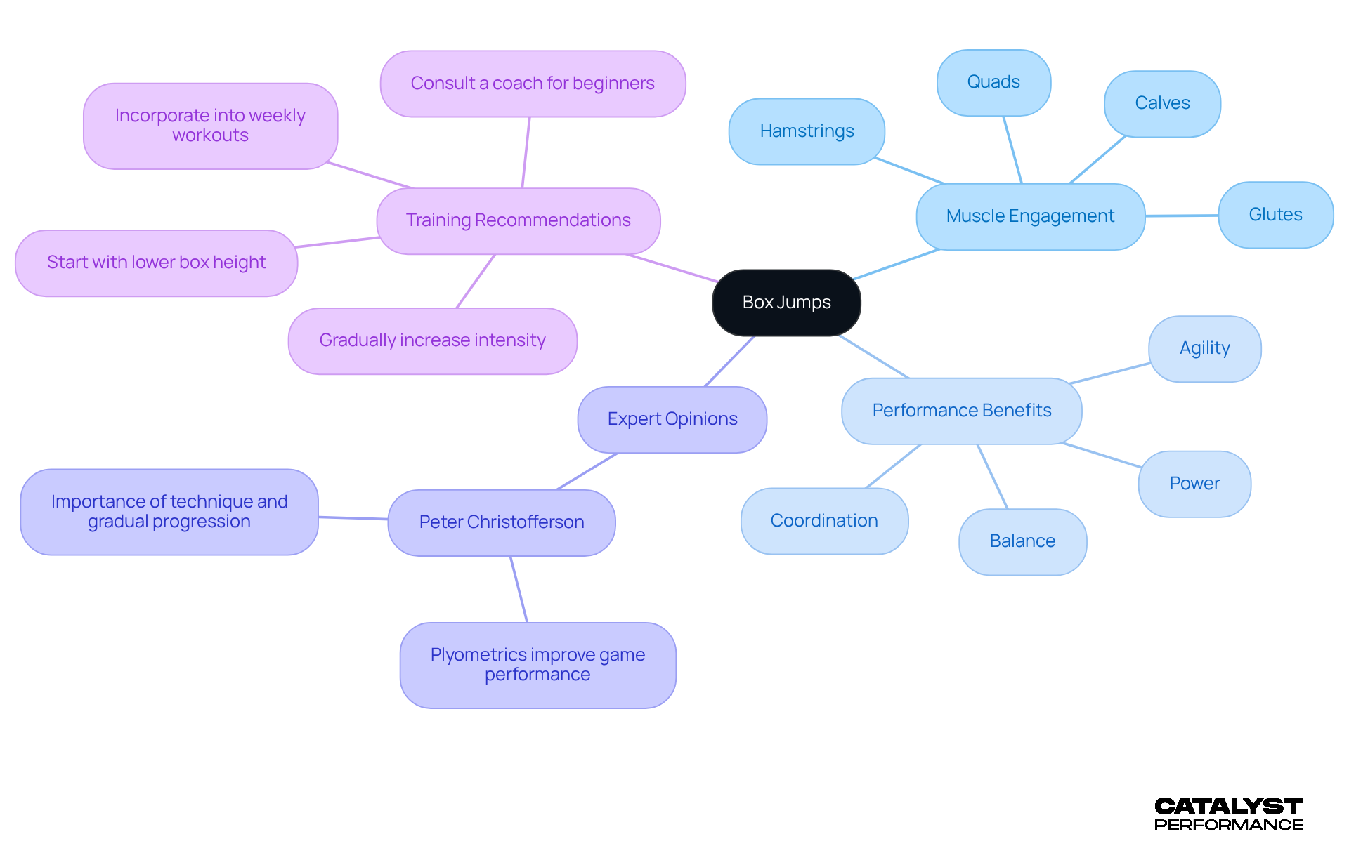 The central node represents box jumps, while the branches show how they impact different areas of athletic performance. Each color-coded branch helps you see the connections between muscle engagement, benefits, expert insights, and training tips. The central node represents box jumps, while the branches show how they impact different areas of athletic performance. Each color-coded branch helps you see the connections between muscle engagement, benefits, expert insights, and training tips.