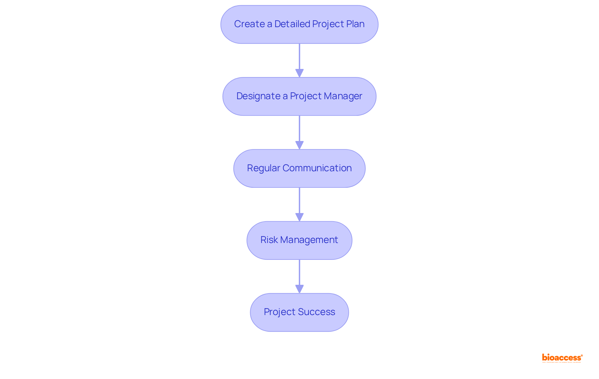 Each step represents a crucial strategy in effective project management. Follow the arrows to understand how each strategy leads to the next, ultimately aiming for project success.
