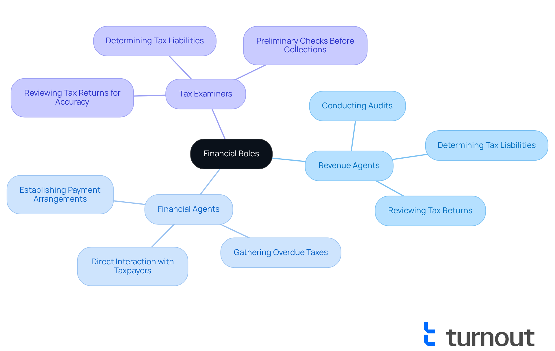 The central node represents the main theme of financial roles, while each branch details a specific role's duties. Explore each branch to understand the distinct responsibilities and how they relate to one another.