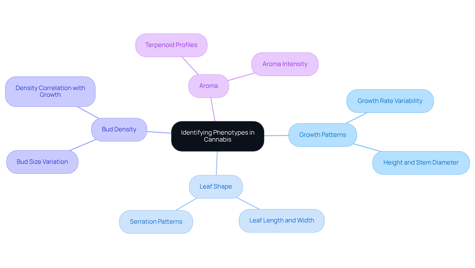 The center represents the main focus on phenotypes, while each branch shows key traits to observe. Explore each branch to understand what to look for in your cannabis plants.