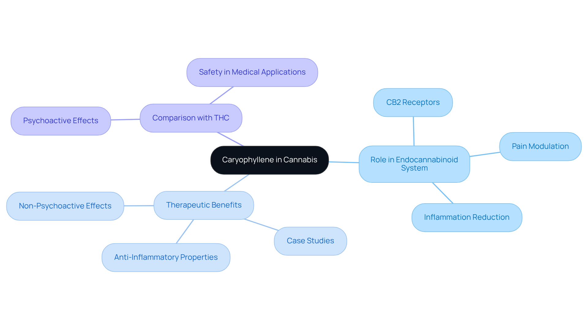 The central node represents caryophyllene, while the branches show its key roles and benefits. Each color-coded branch helps you follow the connections and understand how caryophyllene interacts with the body and its potential uses.