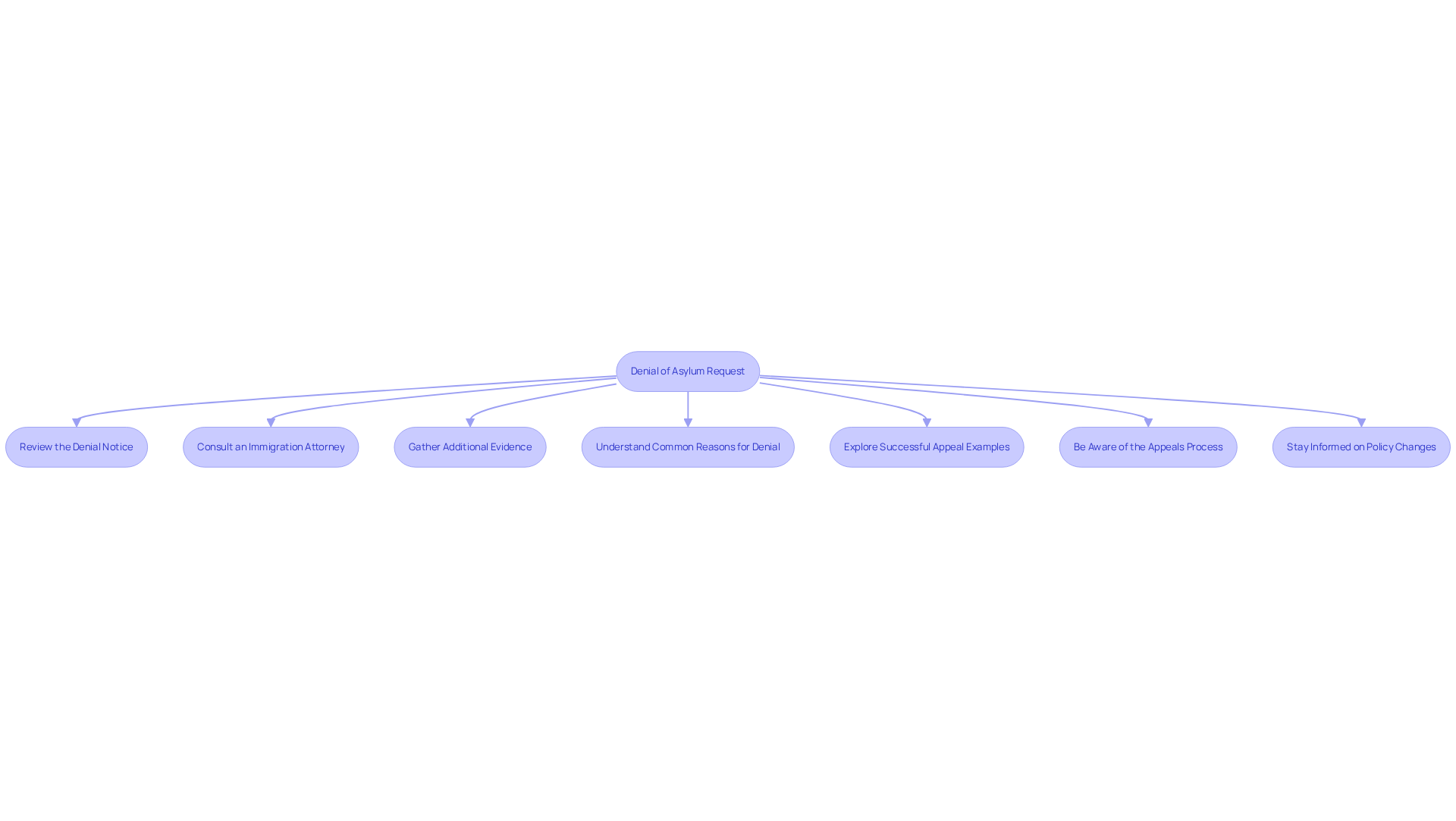Each box represents a step you should consider after your asylum request is denied. Follow the arrows to see the recommended actions and how they connect to help you navigate the appeals process.