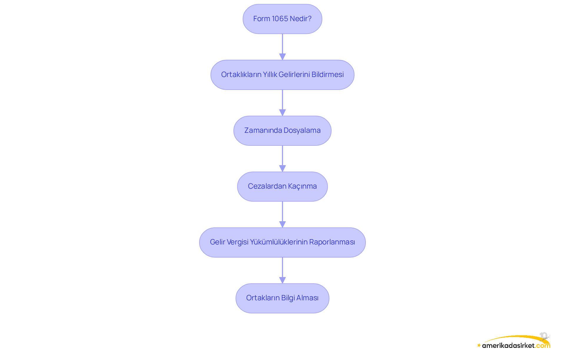 Her kutu, Form 1065'in kullanımındaki bir adımı temsil eder. Oklar, adımlar arasındaki akışı gösterir. Süreci takip ederek, Form 1065'in önemini ve etkilerini daha iyi anlayabilirsiniz.