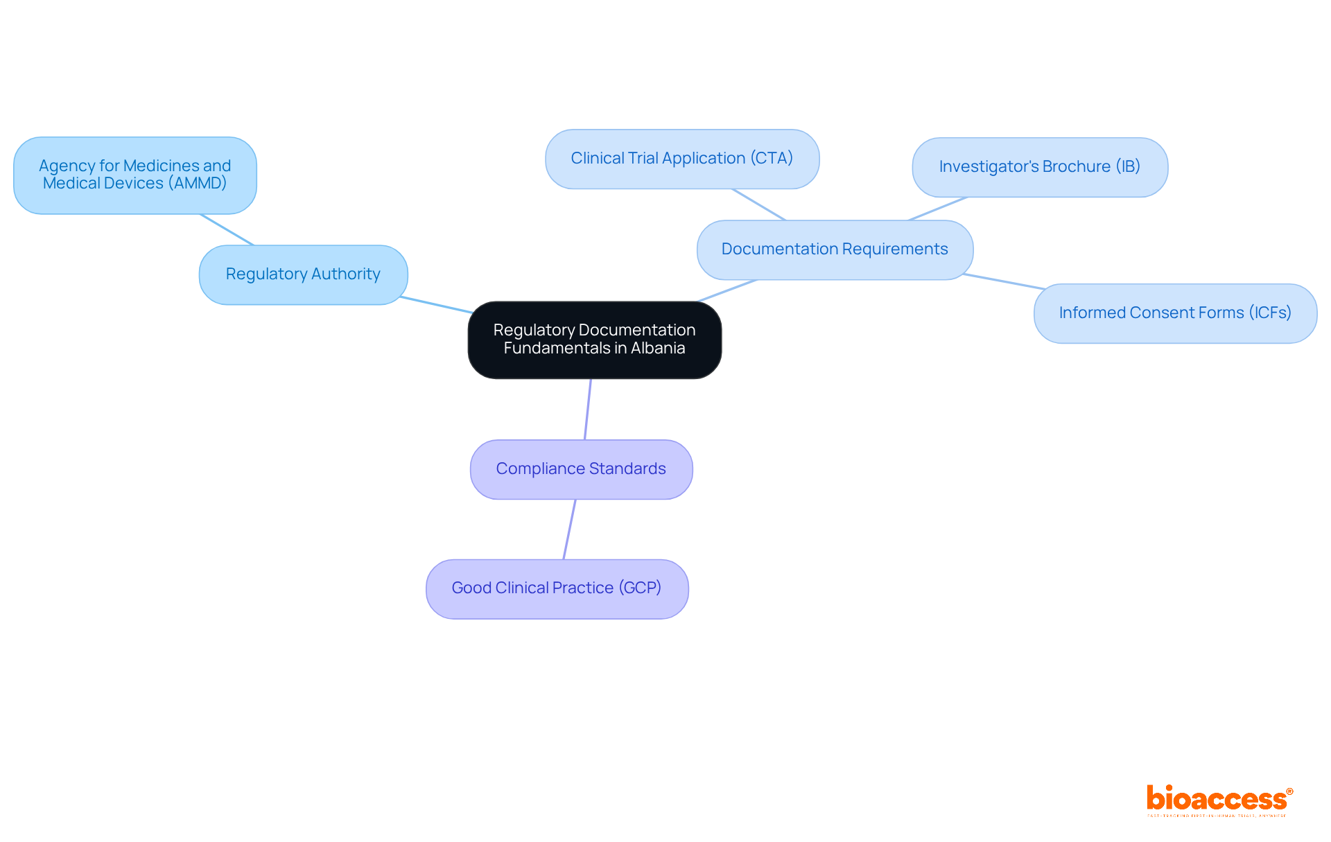 The central node represents the main topic, while the branches show key components of regulatory documentation. Each sub-branch provides specific details, helping you understand how everything connects.