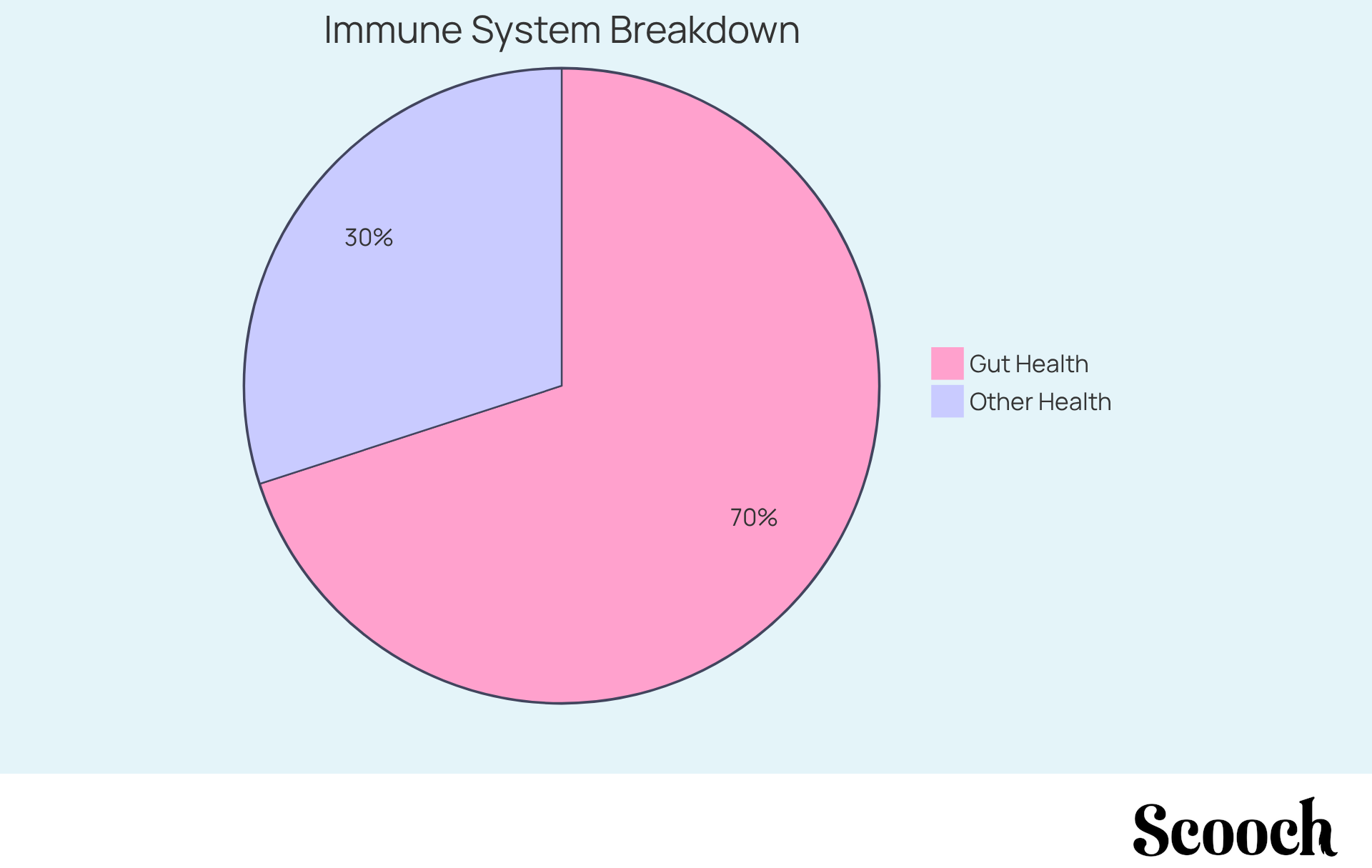 The green section shows that 70% of your dog's immune system is in their gut, highlighting the importance of gut health. The gray section represents the remaining 30%, which is equally important but not directly related to gut health.