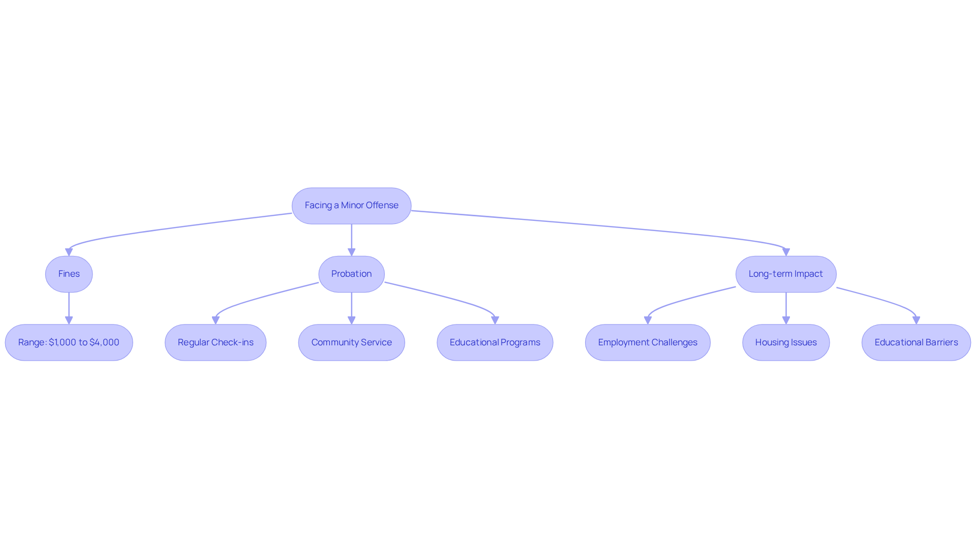 This flowchart outlines the journey of facing a minor offense. Start at the top with the offense, then follow the arrows to see the potential fines, probation terms, and long-term impacts on your life. Each branch shows important details to consider, helping you understand the full scope of consequences.