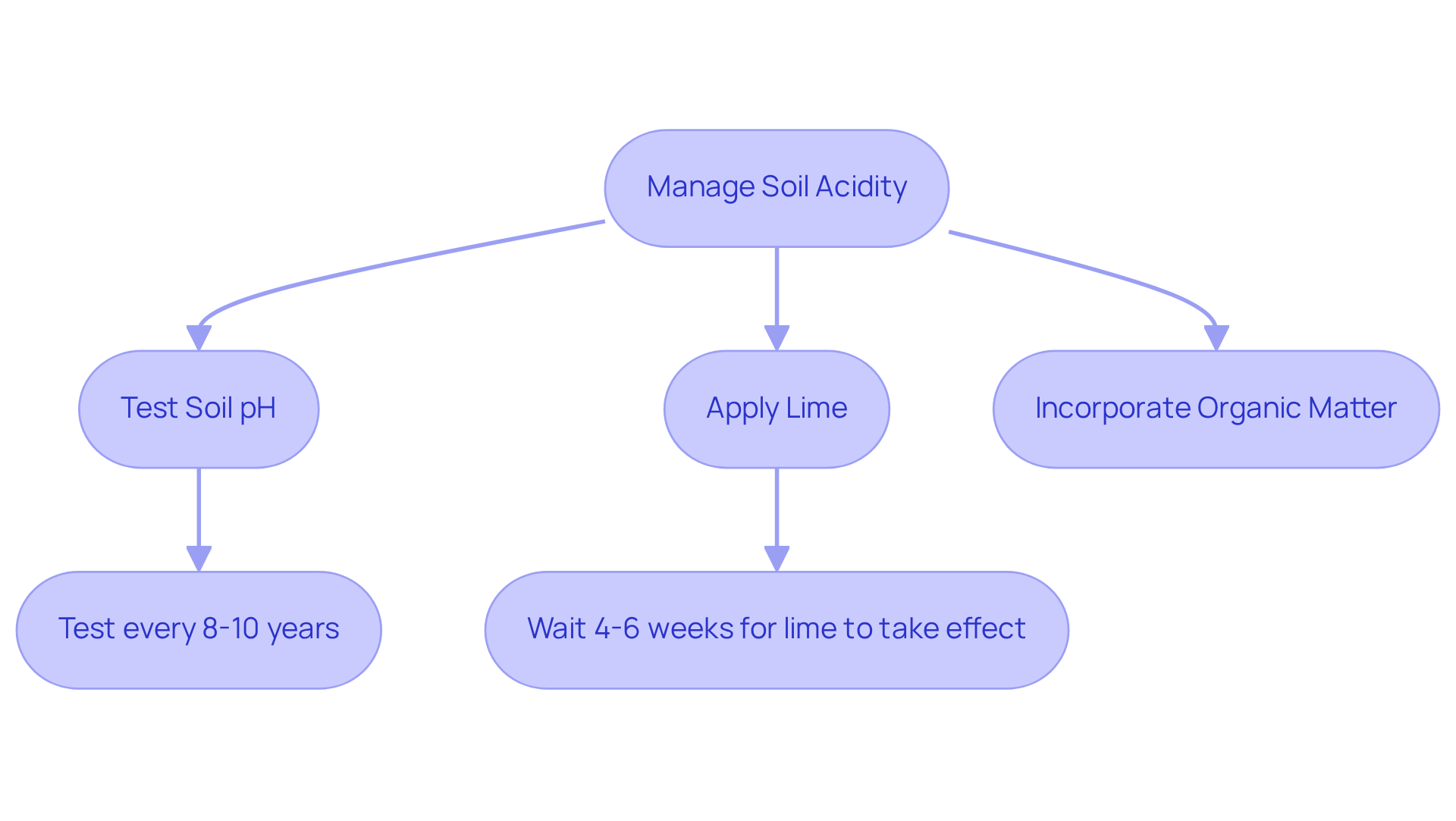 Follow the arrows to see how to manage soil acidity. Each step shows what you need to do to keep your soil healthy and your plants thriving.
