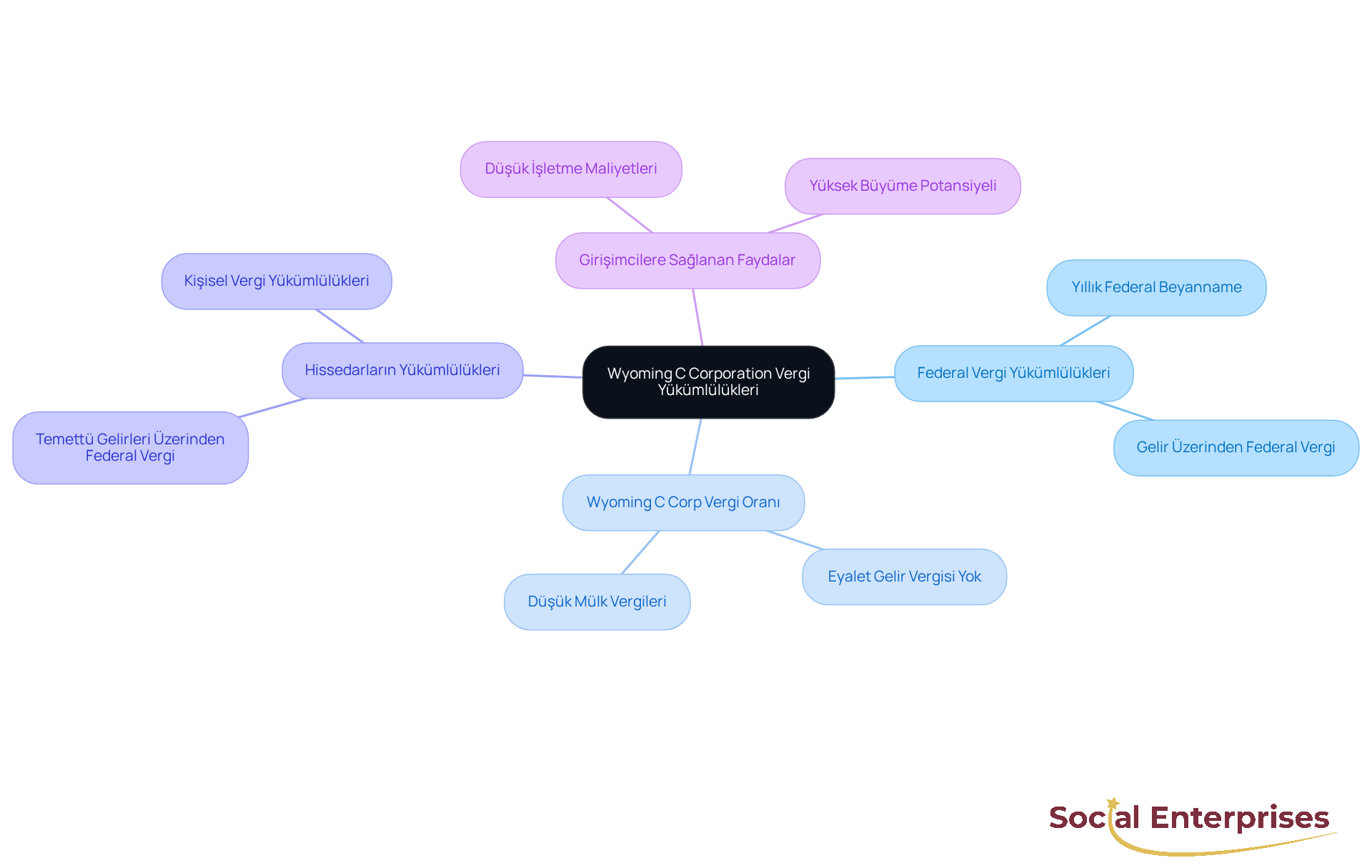 Merkezdeki kavram, Wyoming'deki C Corporation'ların vergi yükümlülüklerini temsil eder. Dallar, bu yükümlülüklerin çeşitli yönlerini ve hissedarların mali sorumluluklarını gösterir. Farklı renkler, bilgiyi daha kolay anlamanızı sağlar.