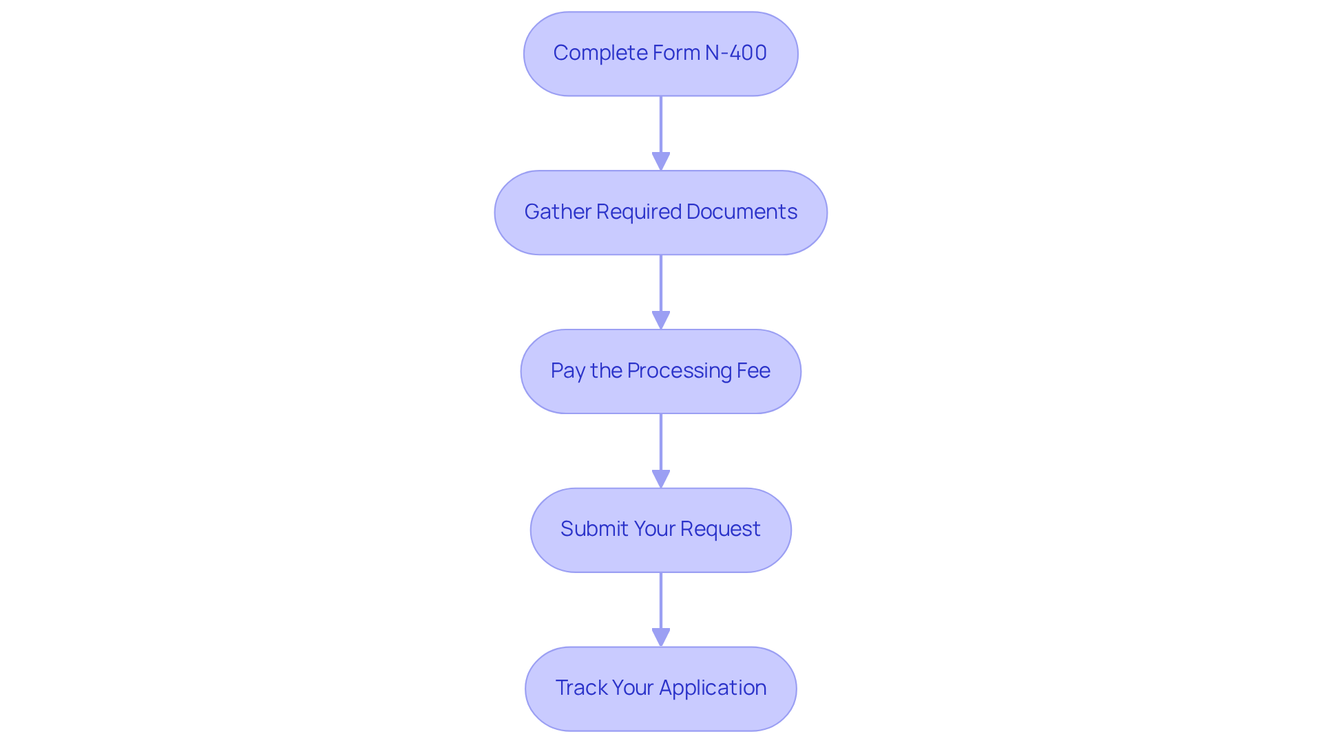 Each box represents a step you need to take in the naturalization application process. Follow the arrows to see what comes next, and remember to check off each step as you complete it!