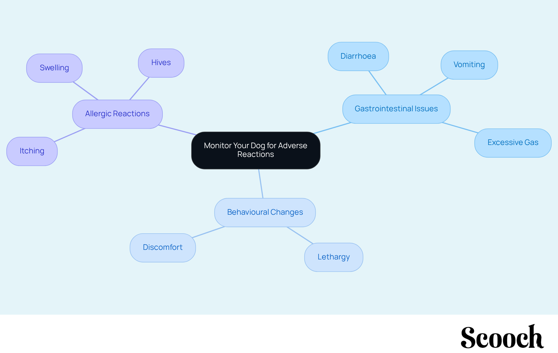 The central idea focuses on monitoring your dog for any reactions to cheese. Each branch represents a category of symptoms, and the sub-branches list specific signs to look out for. Use this map to understand what to observe when introducing cheese into your dog's diet.