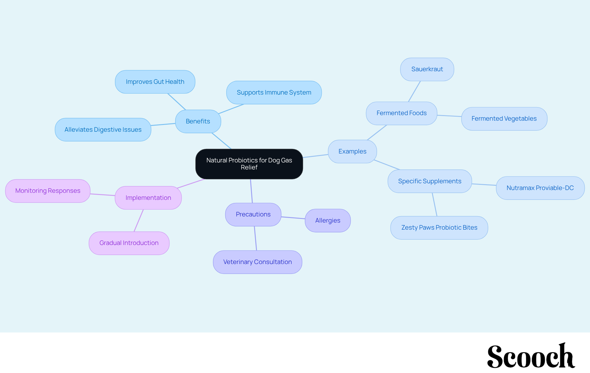 The center represents the main topic about dog probiotics. Each branch reveals important aspects like benefits and examples, helping you understand how these probiotics support your dog's health.