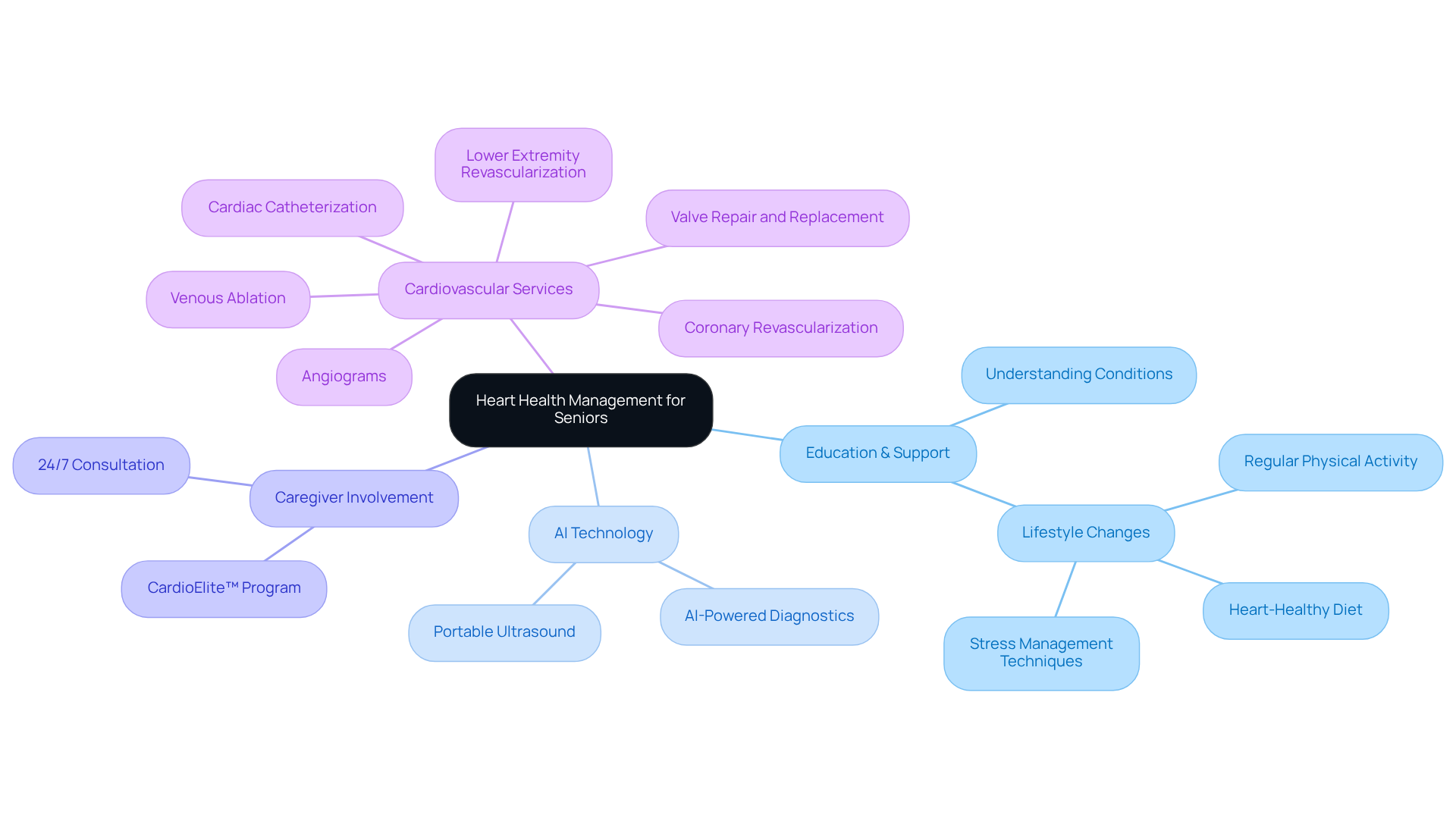 This mindmap shows how seniors can take charge of their heart health. Start at the center with the main idea, then follow the branches to see the different resources and support available. Each branch represents a key area that contributes to better heart health, making it easier to understand how everything connects.