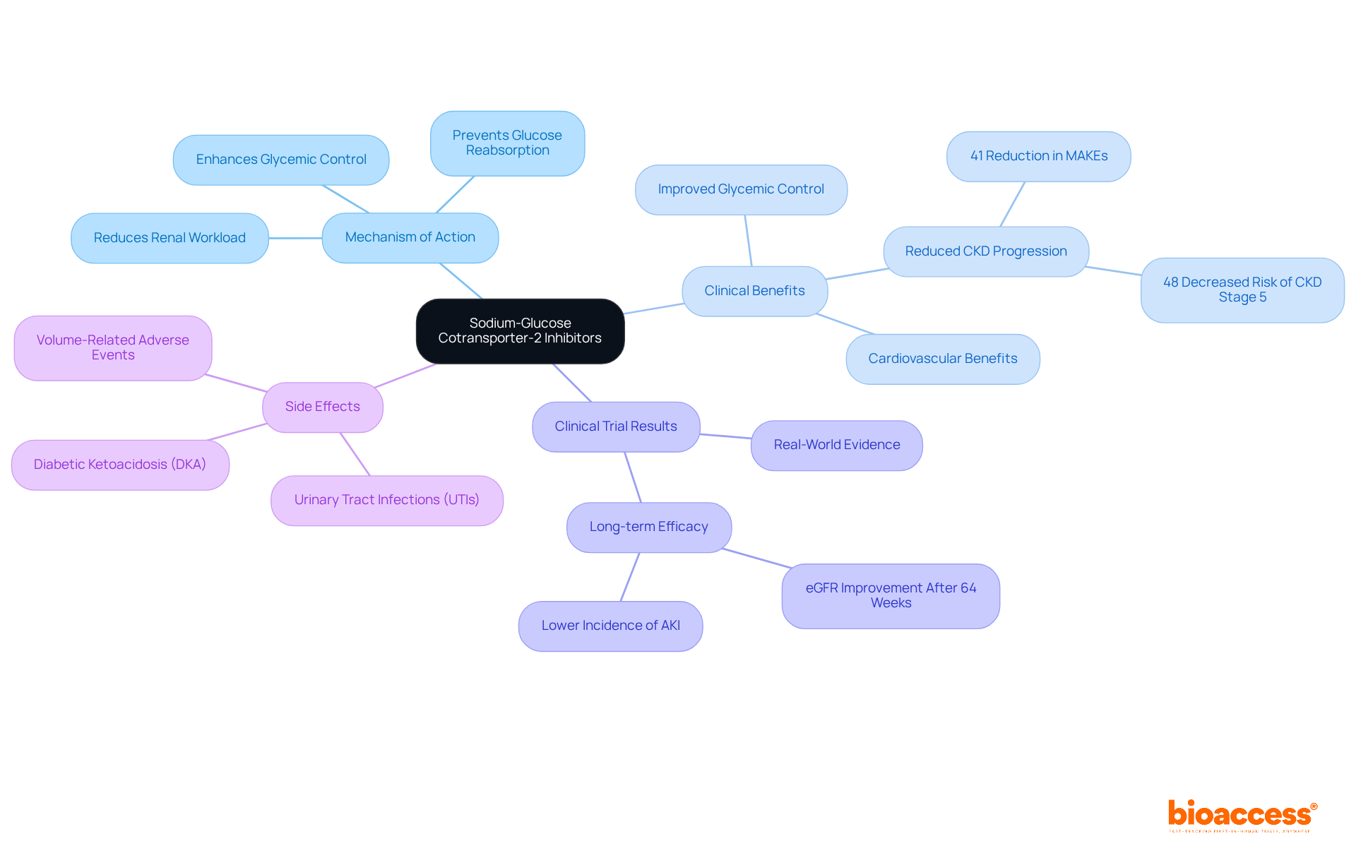 The central node represents SGLT2 inhibitors, while branches show their key aspects and impacts. Each color-coded branch allows you to easily identify different categories, helping you see how they relate to CKD management.