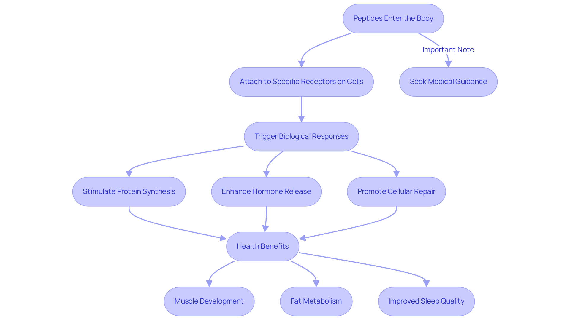 This flowchart illustrates how peptides function once they enter the body. Each step shows how they interact with cells and the positive effects they can have on health. Remember, it's important to consult with a healthcare professional before starting any peptide treatments! This flowchart illustrates how peptides function once they enter the body. Each step shows how they interact with cells and the positive effects they can have on health. Remember, it's important to consult with a healthcare professional before starting any peptide treatments!