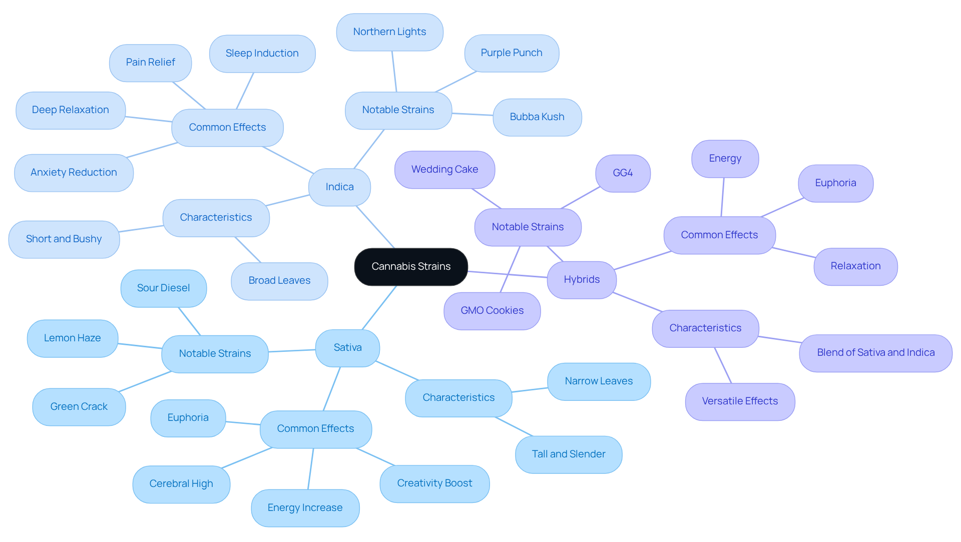 Start at the center with 'Cannabis Strains', then follow the branches to explore Sativa, Indica, and Hybrids. Each branch shows what makes these strains unique and how they affect you. Start at the center with 'Cannabis Strains', then follow the branches to explore Sativa, Indica, and Hybrids. Each branch shows what makes these strains unique and how they affect you.
