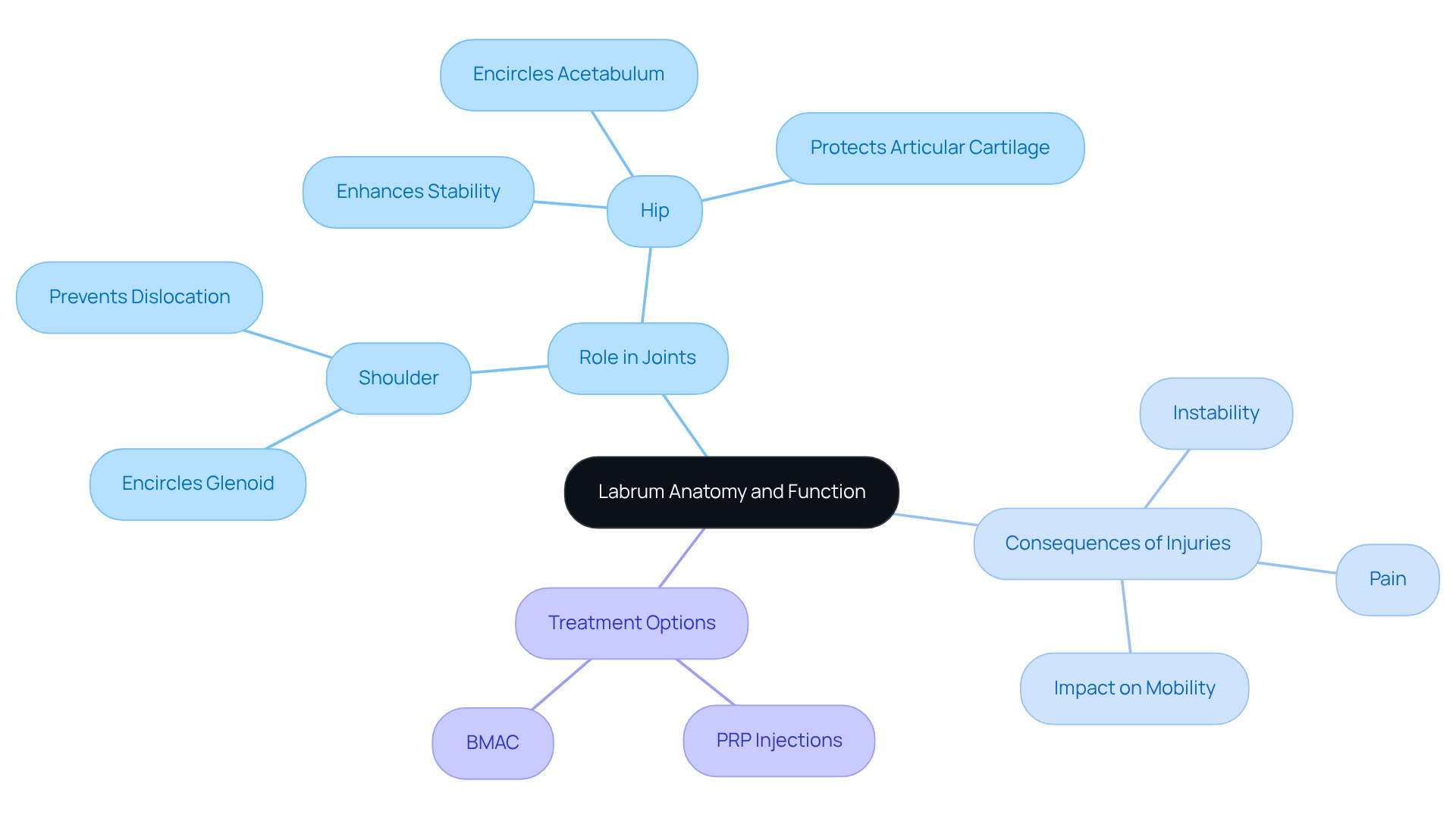 The central node represents the labrum's anatomy, with branches showing its roles, the effects of injuries, and available treatments. Follow the branches to explore each aspect in detail.