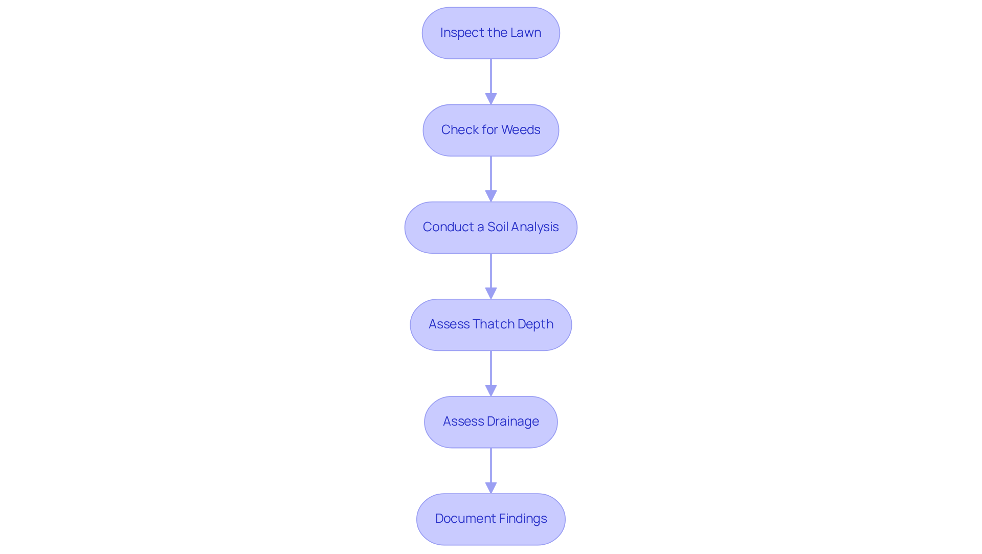 Each box represents a step in assessing your lawn's health. Follow the arrows to see the order of actions you should take for a thorough evaluation.