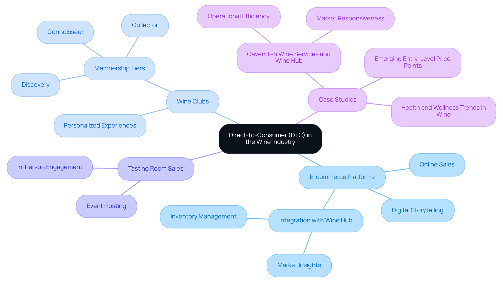 At the center is DTC, which branches out into various strategies. Each branch shows how wineries connect with consumers and enhance their business, making it easier to see how these elements fit together.