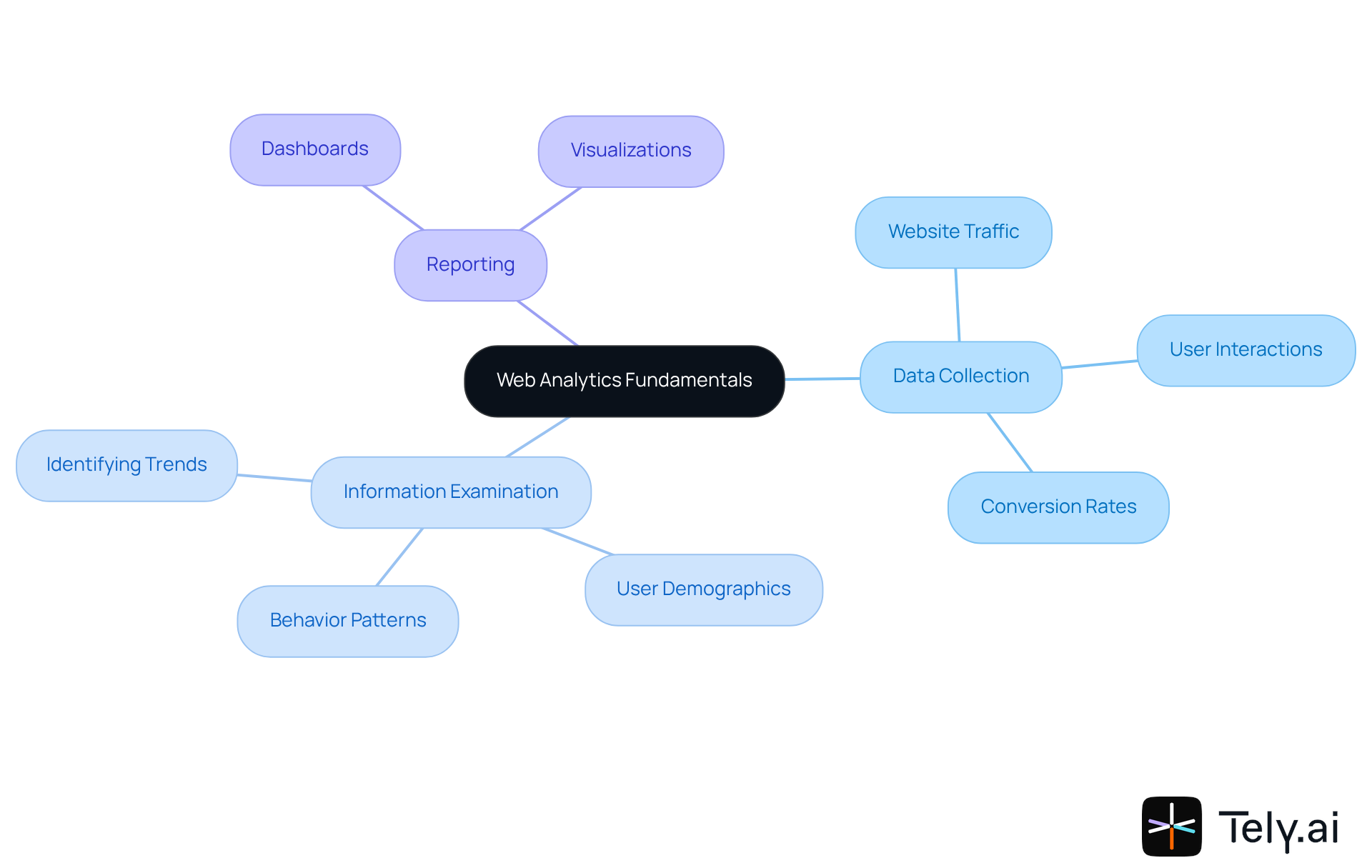 The central node represents the main topic of web analytics. Each branch shows a key component, and the sub-branches detail specific aspects of that component. This layout helps you understand how everything connects.
