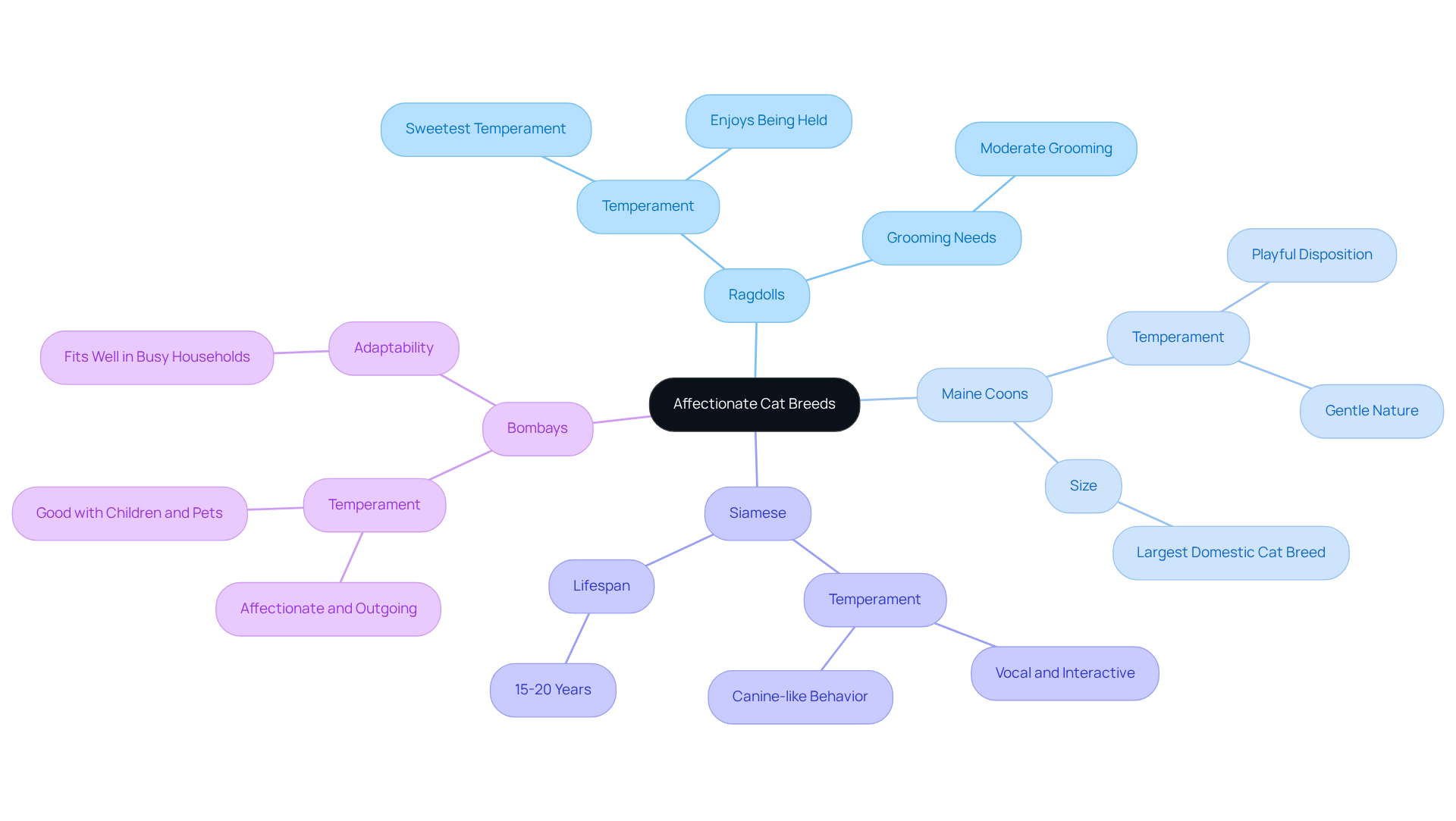 The center shows the main topic of affectionate cat breeds. Each branch represents a breed, and the sub-branches explain their traits and needs. This helps you see how each breed connects to the idea of being affectionate.