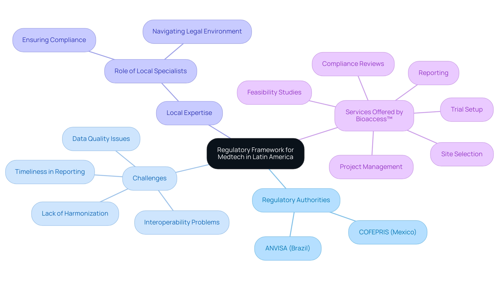 The central node represents the overarching theme, with branches illustrating key regulatory authorities, challenges, local expertise, and services offered to navigate these complexities.